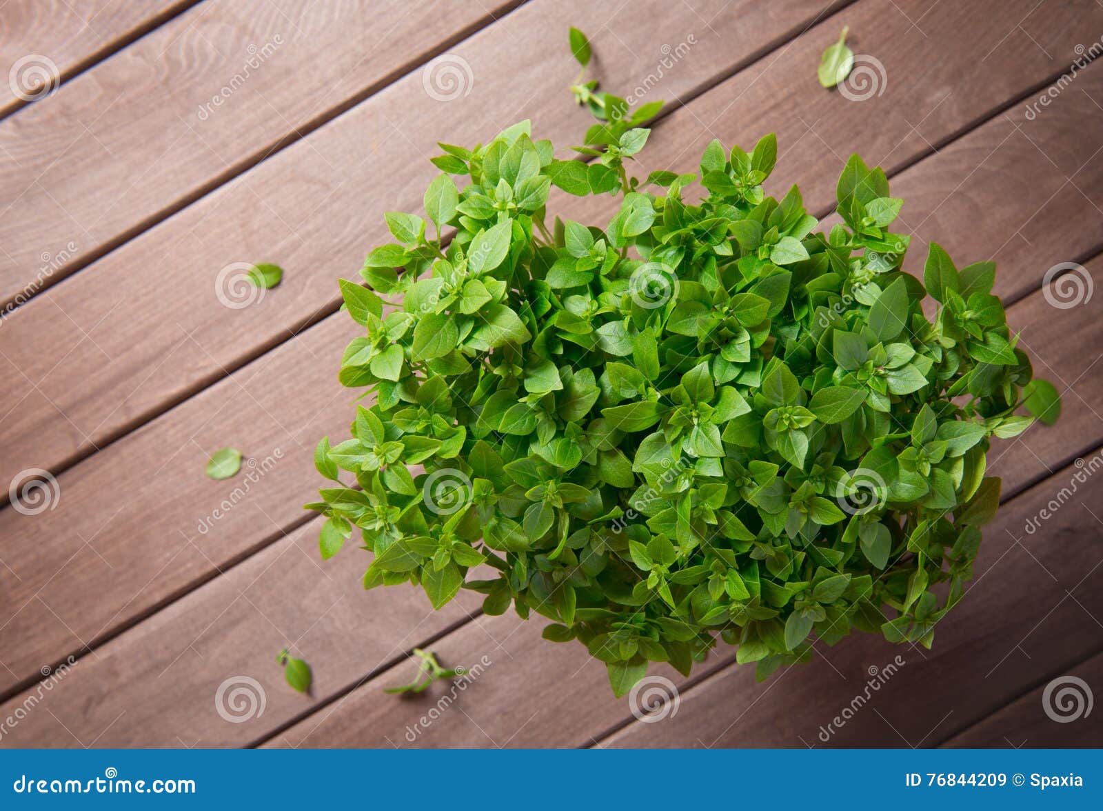 Fresh Basil on a Wooden Background Stock Image - Image of nature ...