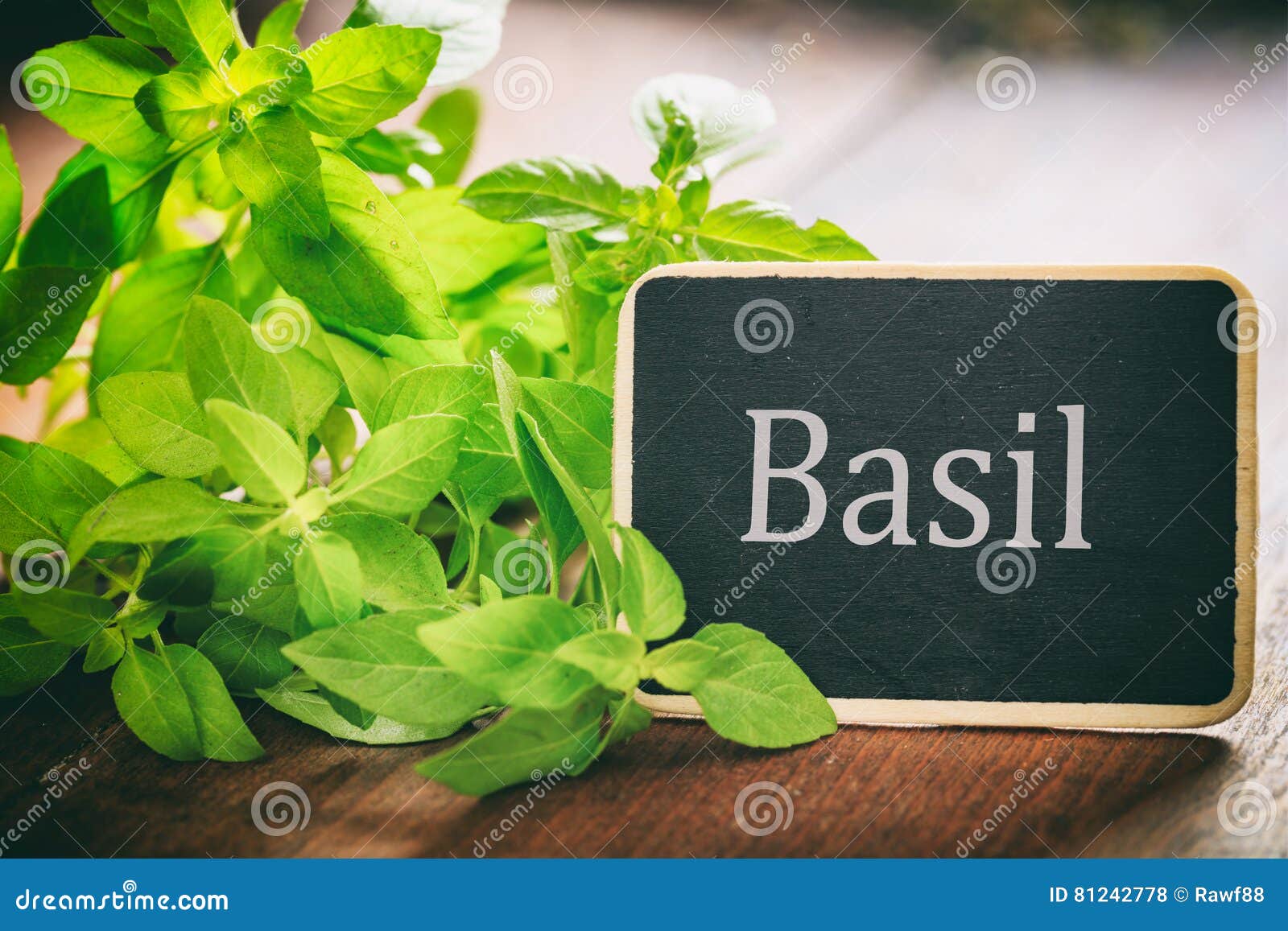 220 Basil Table Label Stock Photos - Free & Royalty-Free Stock Photos ...