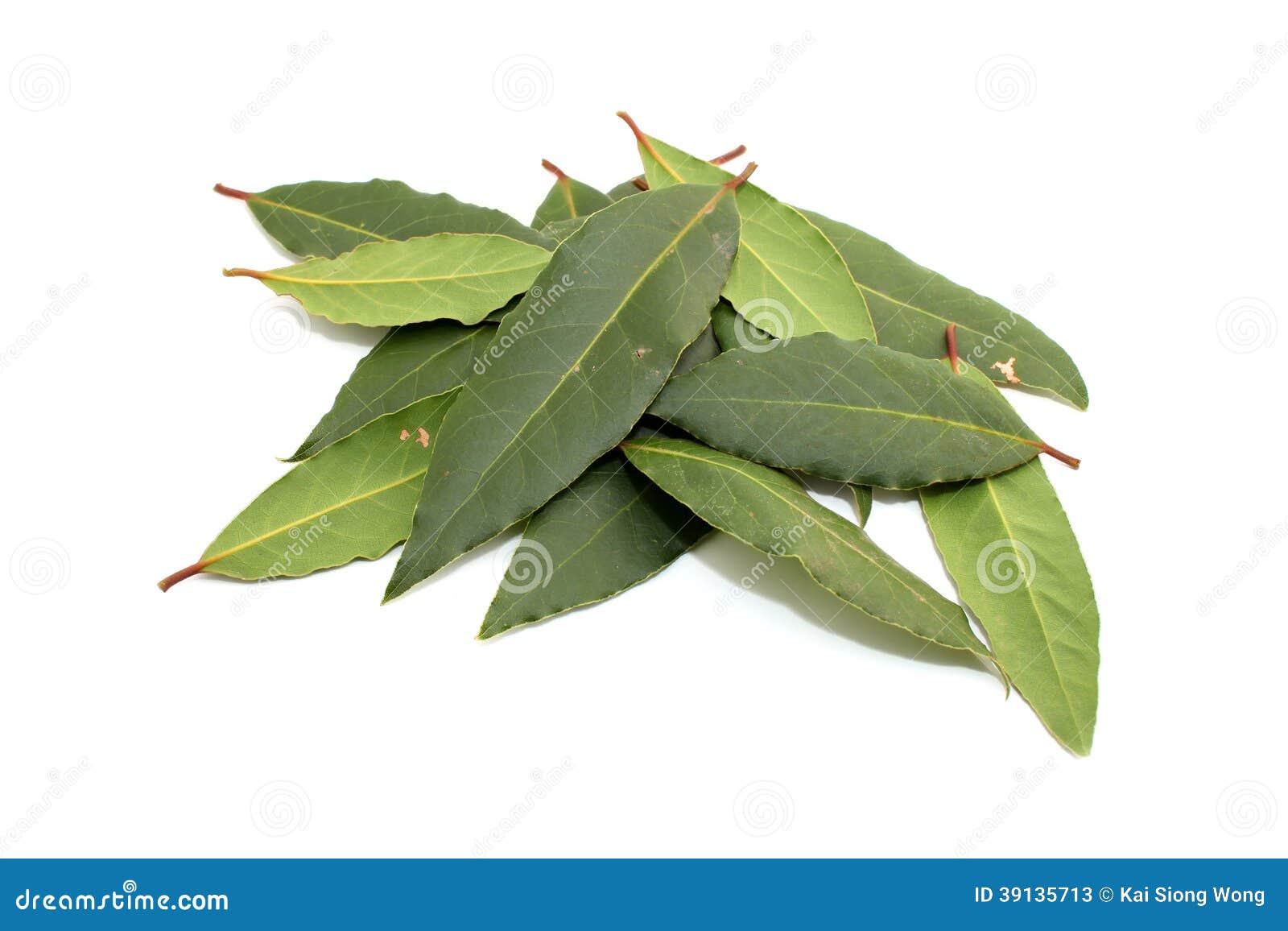 Fresh Bay Leaves stock image. Image of leaf, object, plant - 39135713