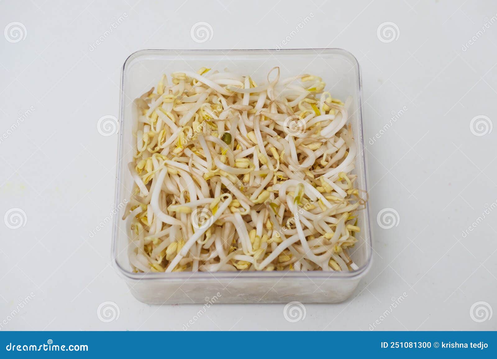 Fresh Bean Sprouts Inside Plastic Container Stock Photo - Image of ...