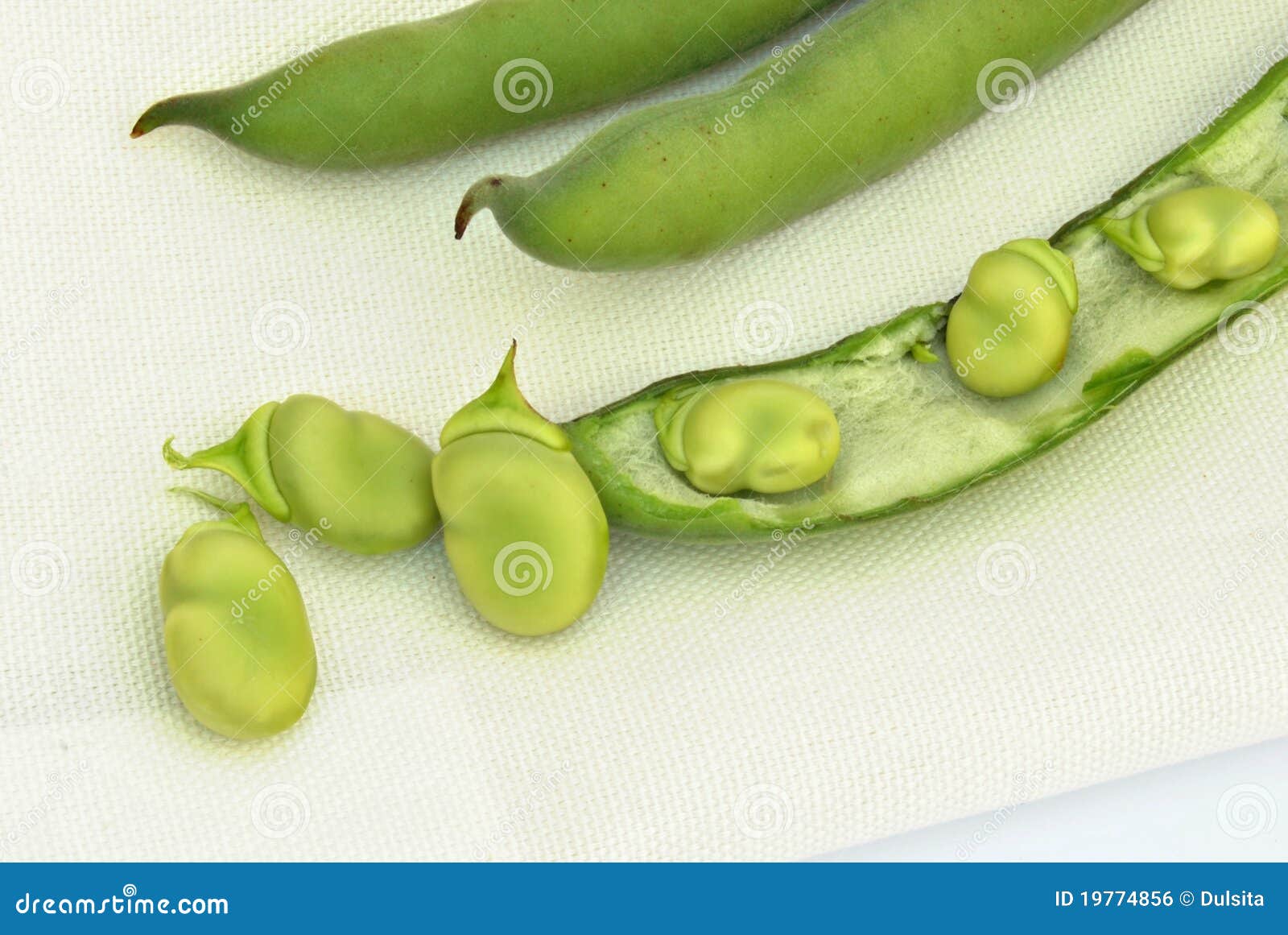 Fresh beans stock photo. Image of healthy, seed, vegetable - 19774856
