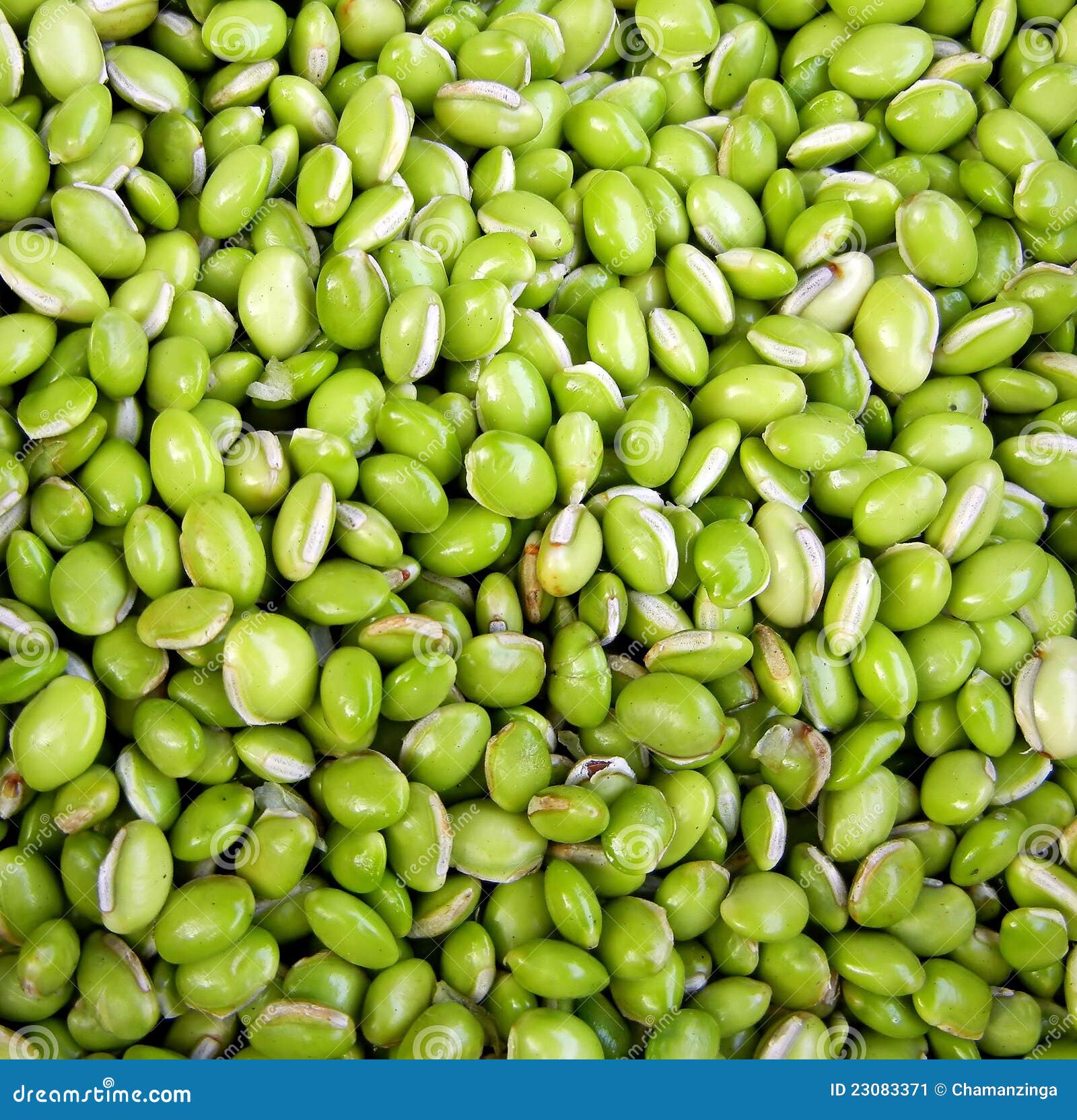 Fresh Beans stock image. Image of beans, fiber, eating - 23083371