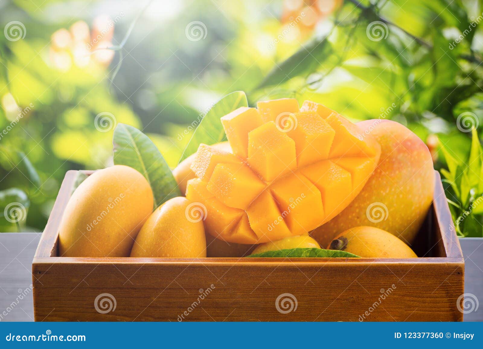 Fresh and Beautiful Mango Fruit in a Bamboo Basket Stock Photo - Image ... Fresh and Beautiful Mango Fruit in a Bamboo Basket Stock Photo - Image ...