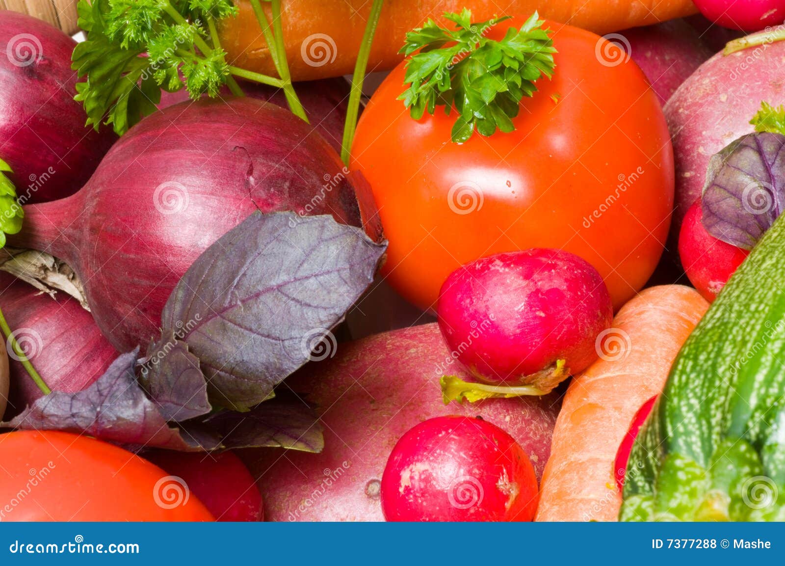 Fresh Beautiful Vegetables. Stock Photo - Image of dietary, celery: 7377288