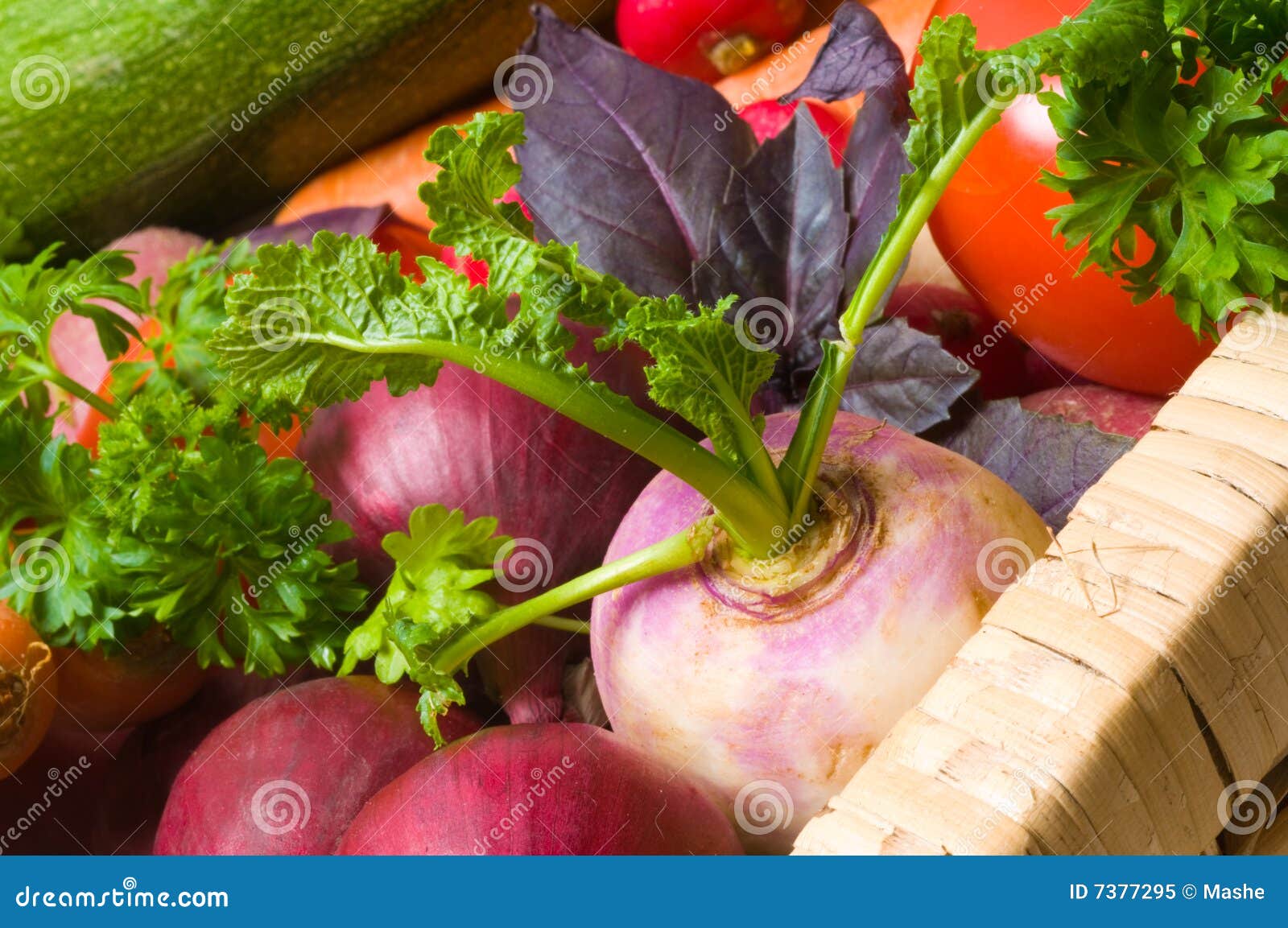 Fresh Beautiful Vegetables. Stock Image - Image of basil, onion: 7377295