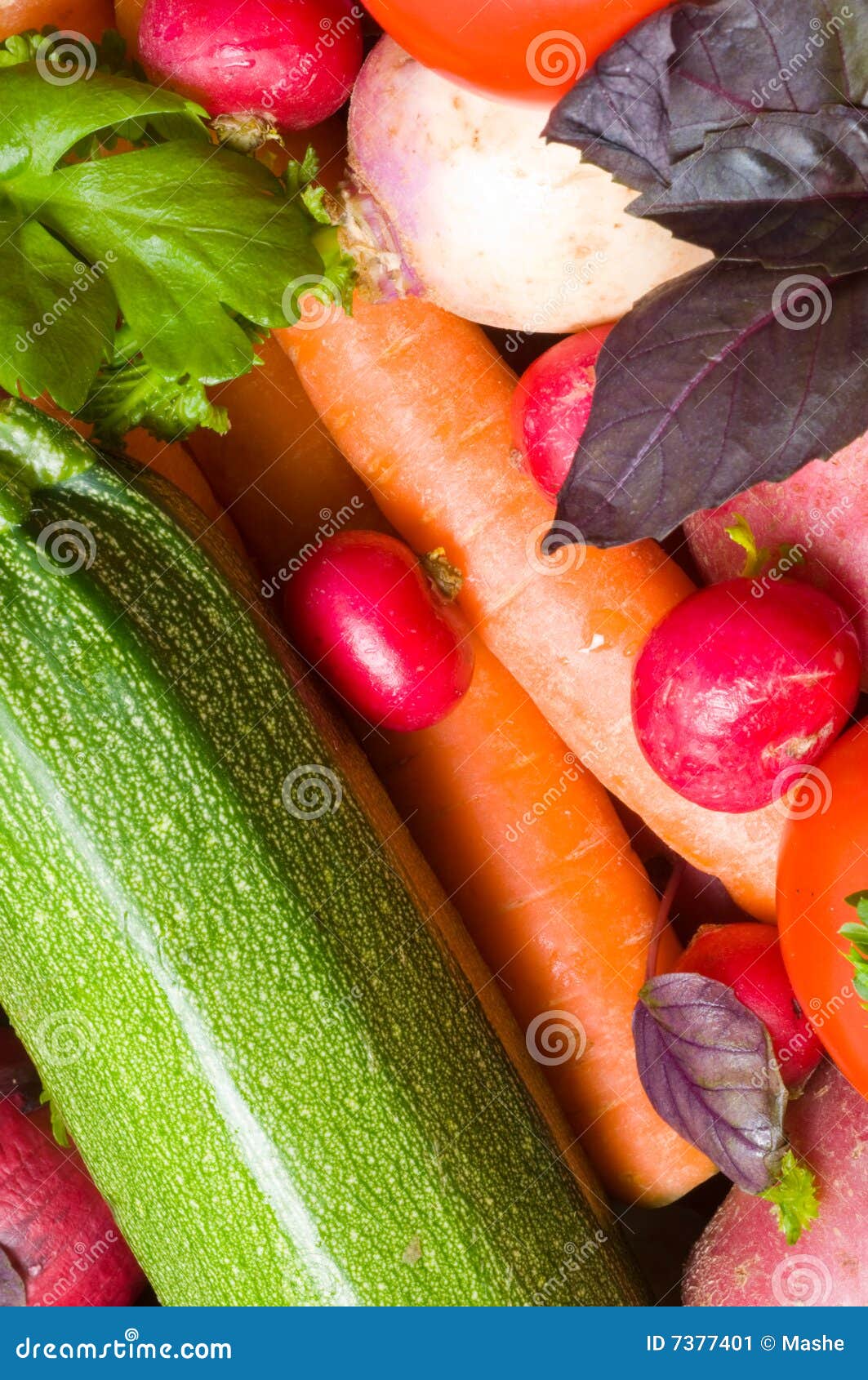 Fresh beautiful vegetables stock image. Image of onion - 7377401