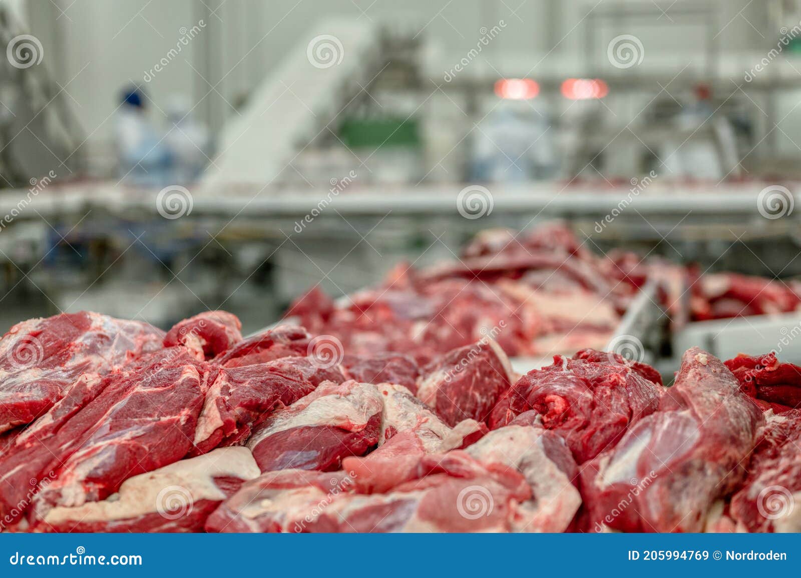 Fresh Beef. Meat Cut into Large Pieces Stock Image - Image of lamb ...