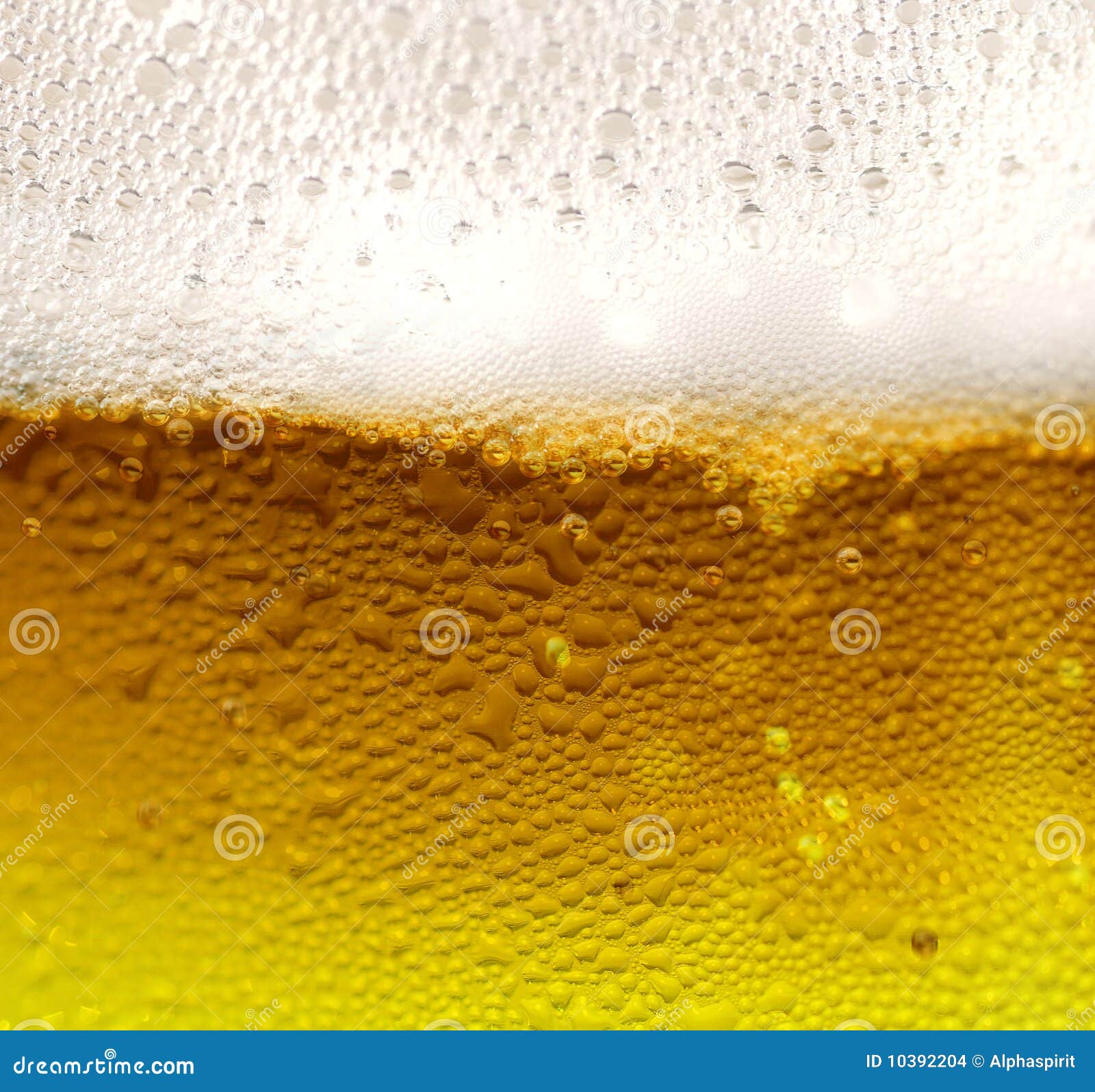 Fresh beer stock photo. Image of bubbly, transparent - 10392204