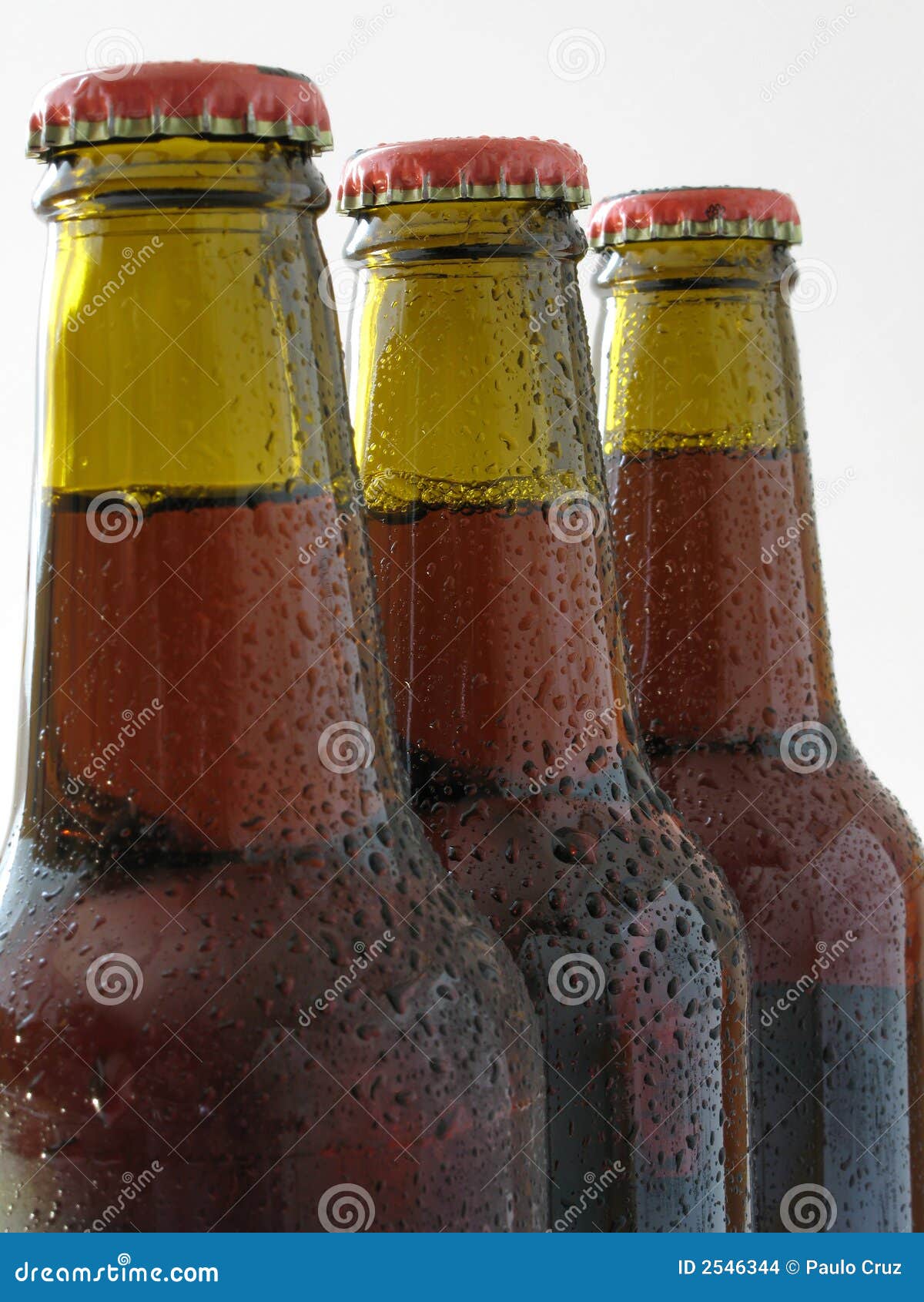 Fresh Beer stock photo. Image of party, alcohol, backlight - 2546344