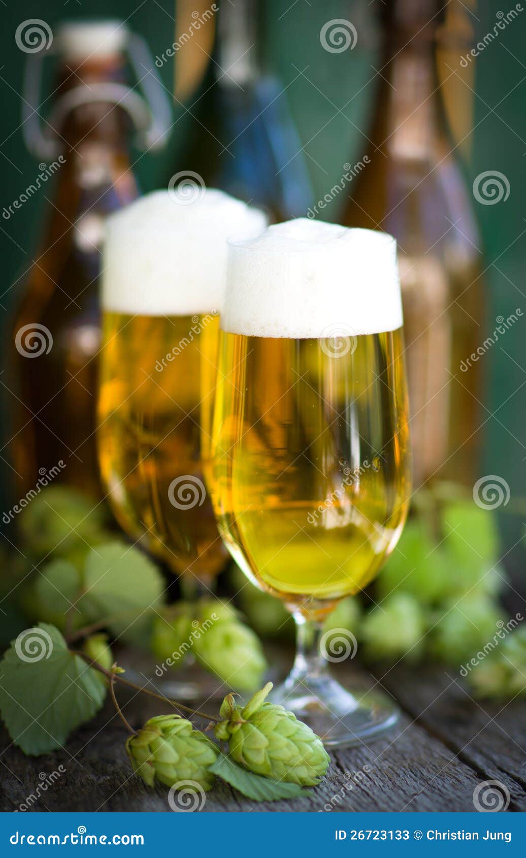 Fresh beer stock image. Image of herbs, beer, plant, brewery - 26723133
