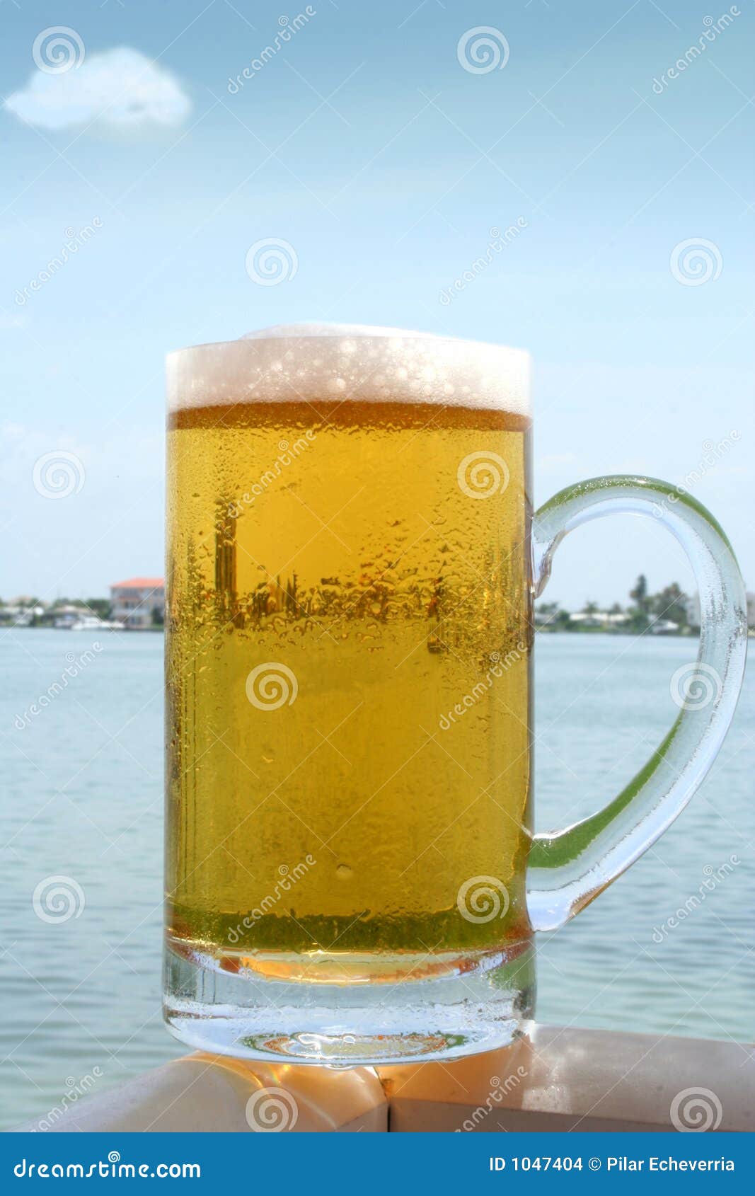Fresh beer by the water stock photo. Image of neck, lager - 1047404