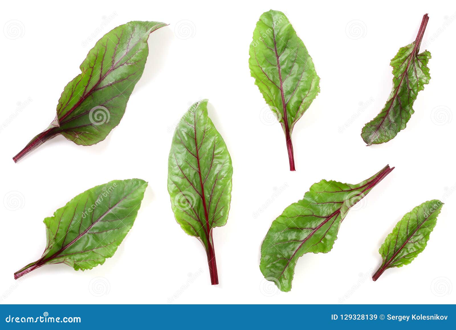 Fresh Beet Leaf Isolated on White Background. Top View Stock Image ...