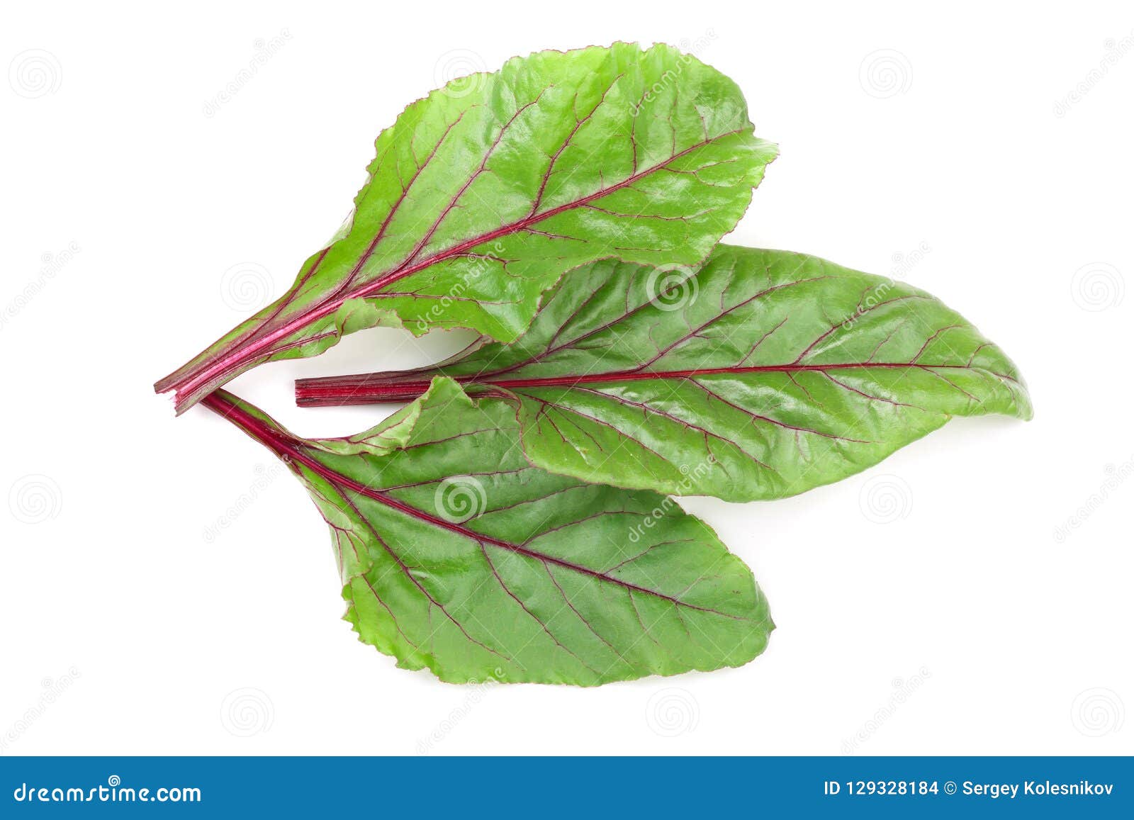 Fresh Beet Leaf Isolated on White Background. Top View Stock Photo ...