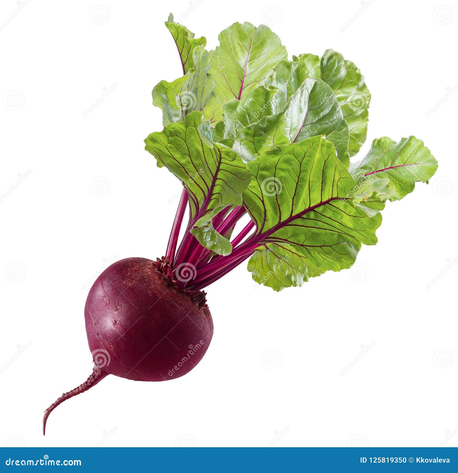 Beet Root with Leaves Isolated on White Background Stock Photo - Image ...
