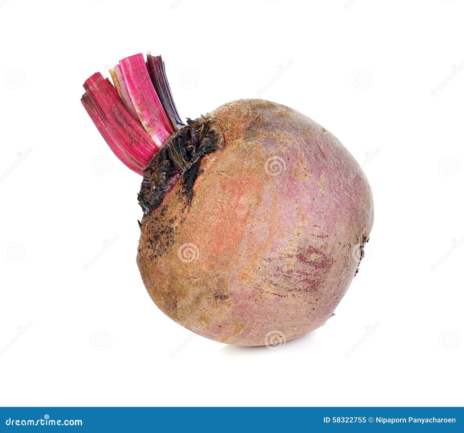 Fresh beetroot stock image. Image of delicious, piece - 58322755