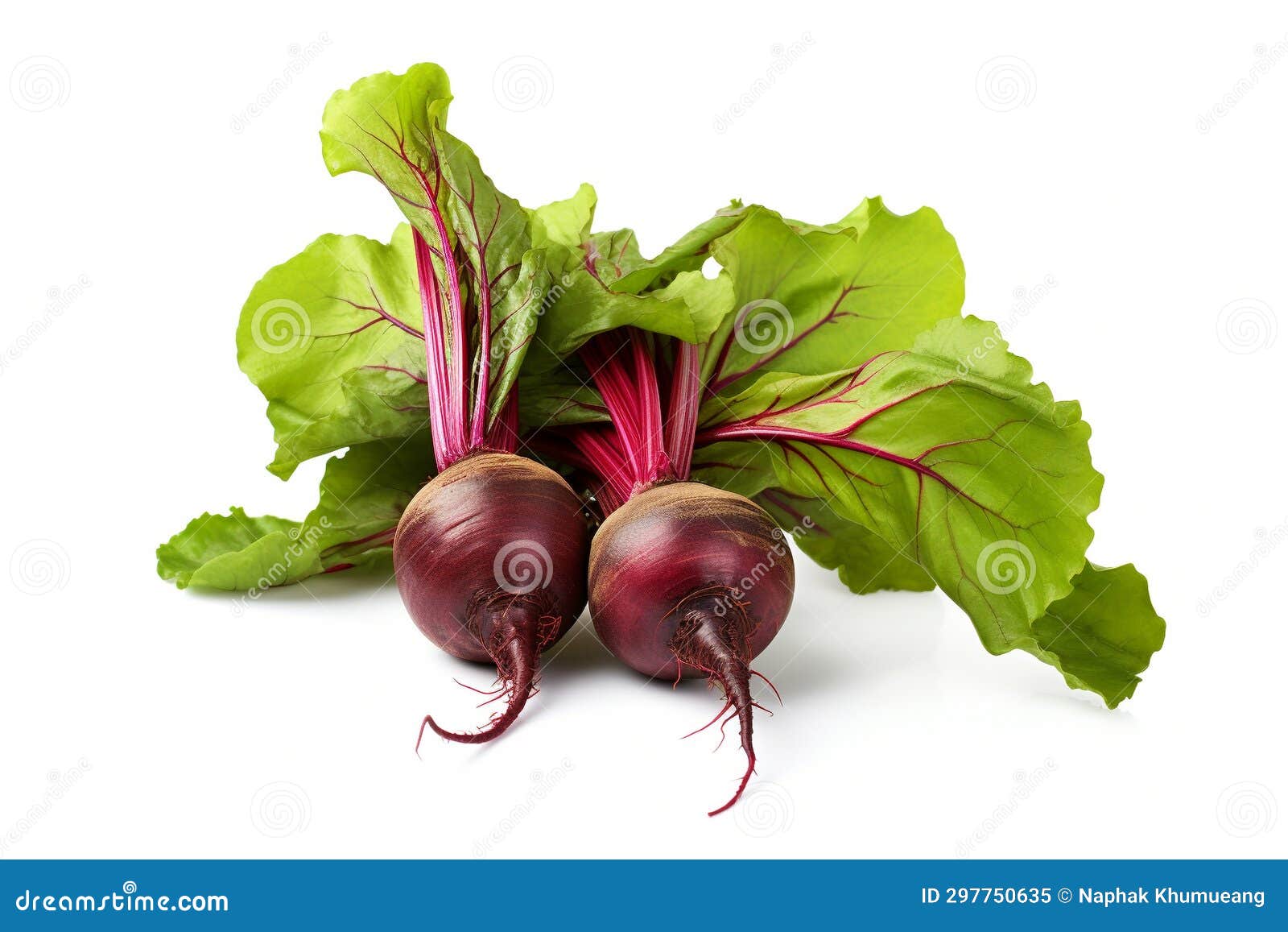 Fresh Beetroot Isolated on White Background Stock Illustration ...