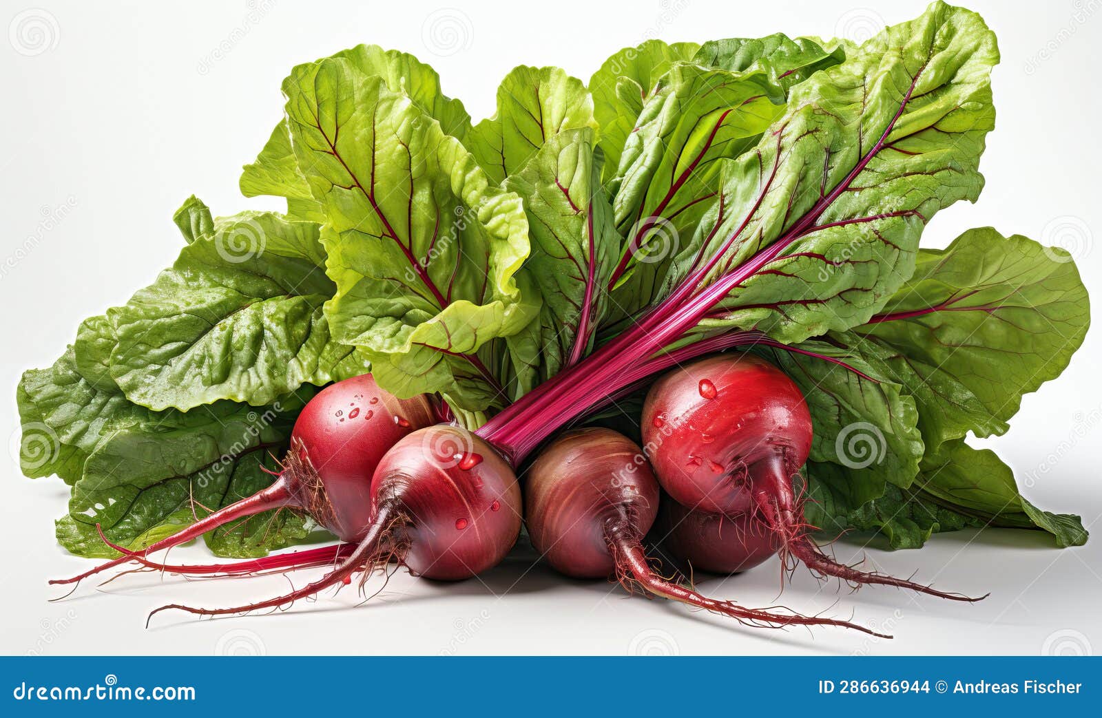 Fresh Beetroot with Leaves Isolated on White Background. Stock Photo ...