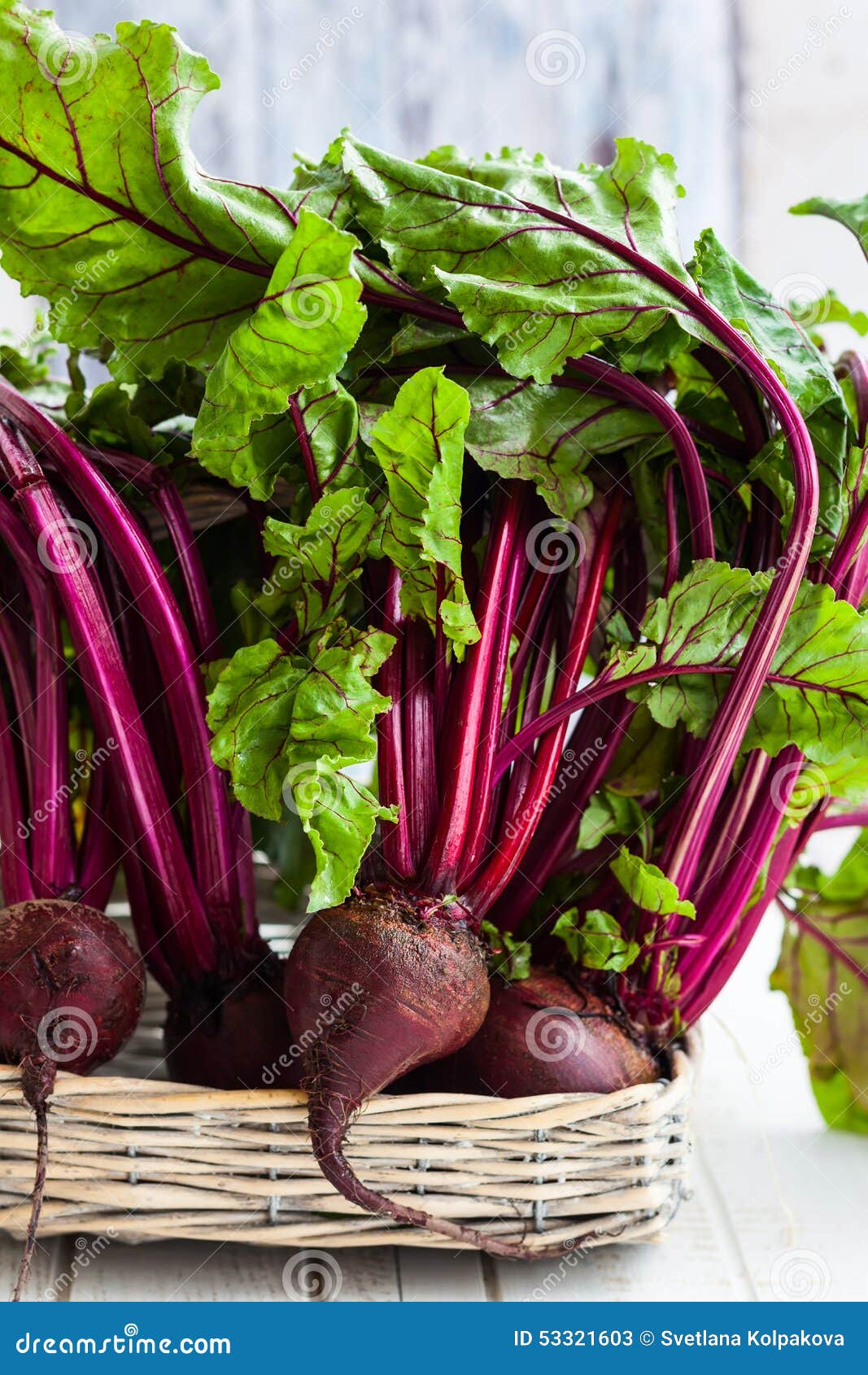 Fresh beetroot stock image. Image of harvest, beet, basket - 53321603