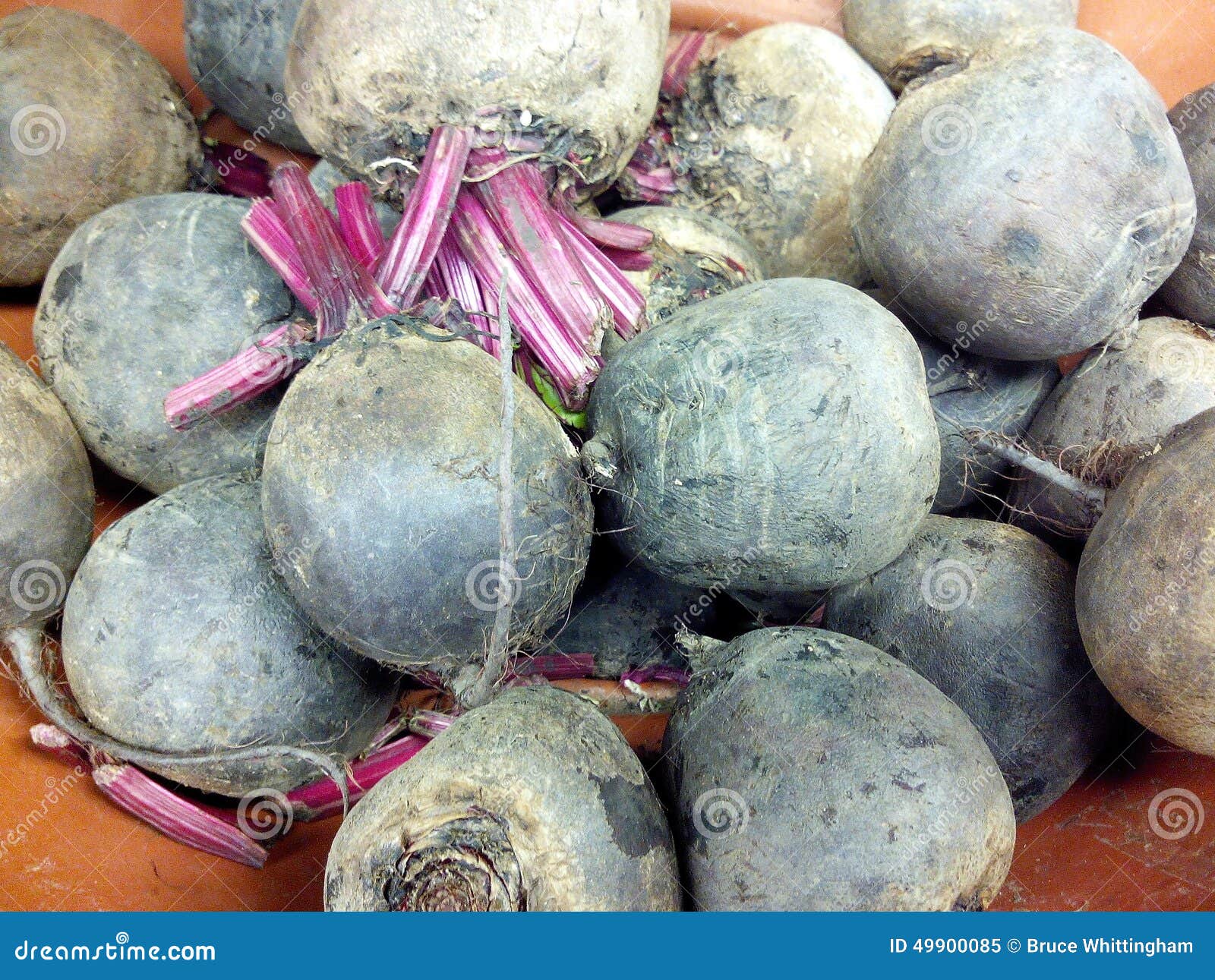 Fresh Beetroot stock image. Image of beetroot, food, healthy - 49900085