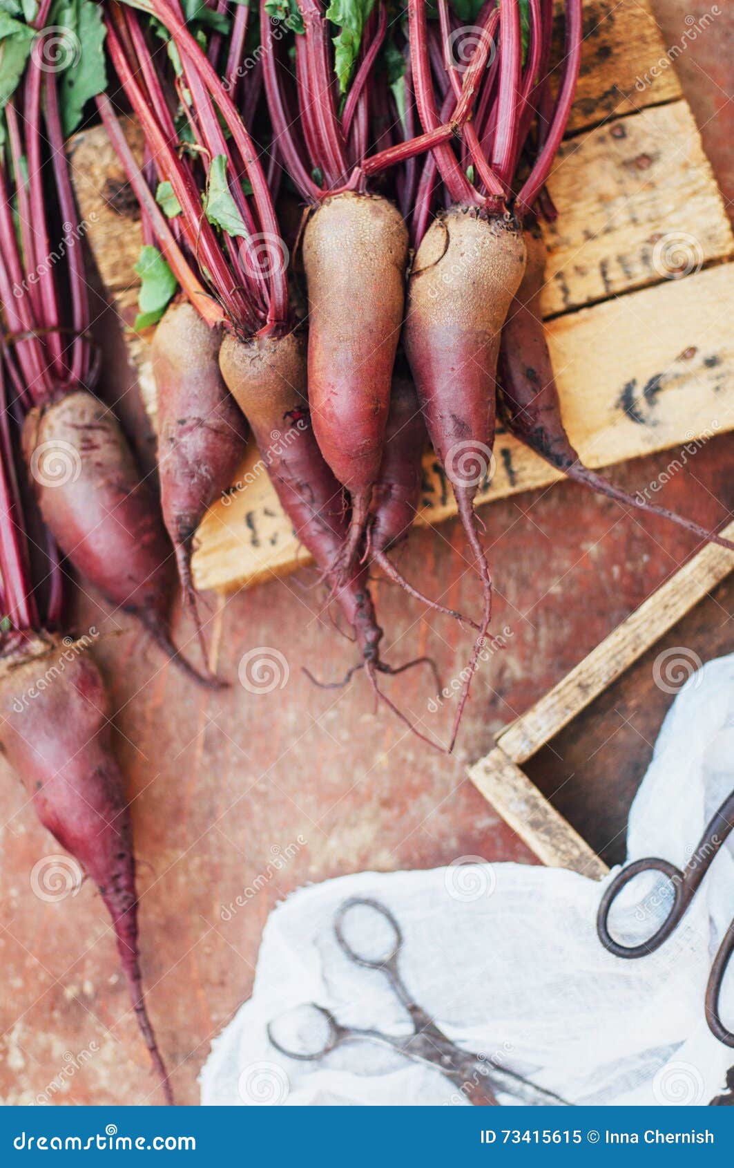 Fresh Beetroot on Wooden Surface. Fresh Picked Organic Beetroot Stock ...