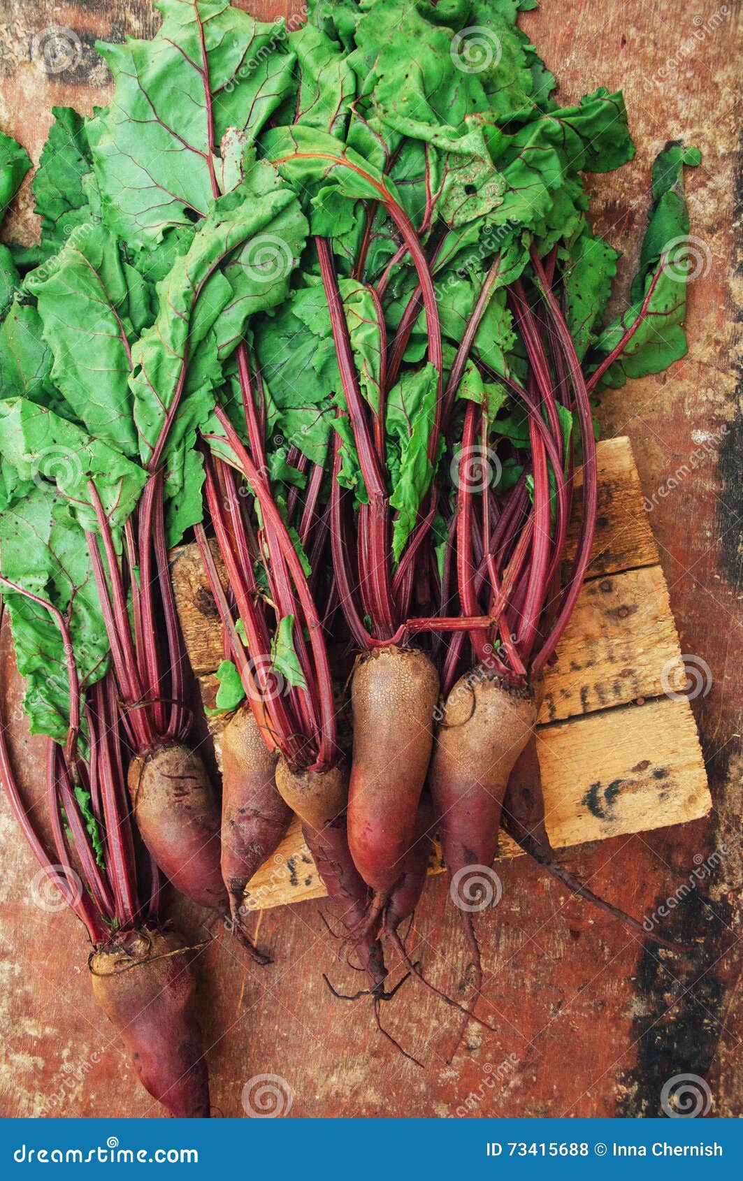 Fresh Beetroot on Wooden Surface. Fresh Picked Organic Beetroot Stock ...