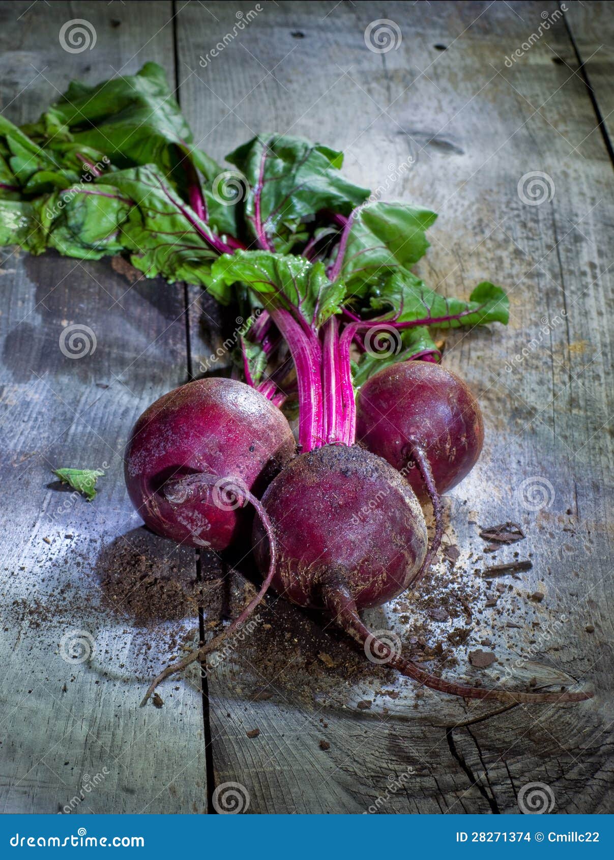 Fresh beets stock photo. Image of agriculture, eating - 28271374