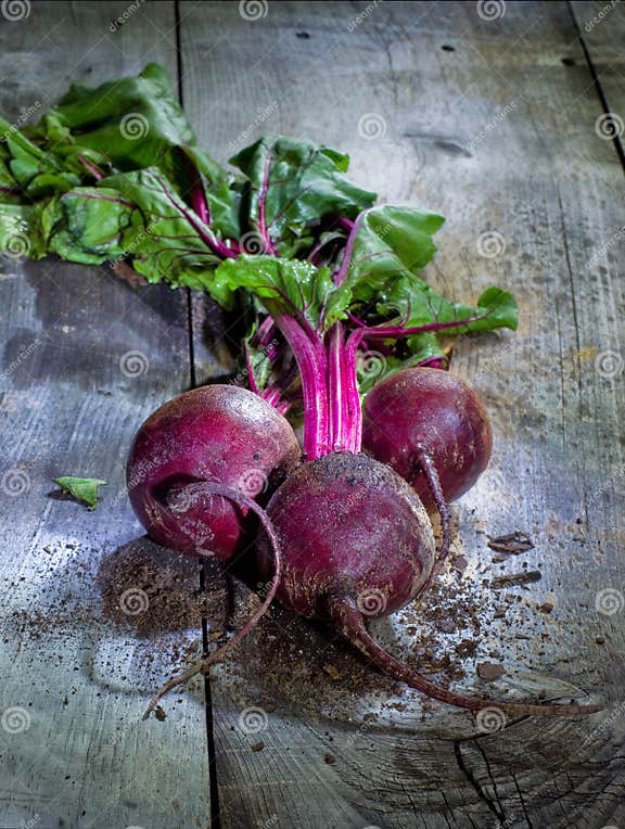 Fresh beets stock photo. Image of agriculture, eating - 28271374