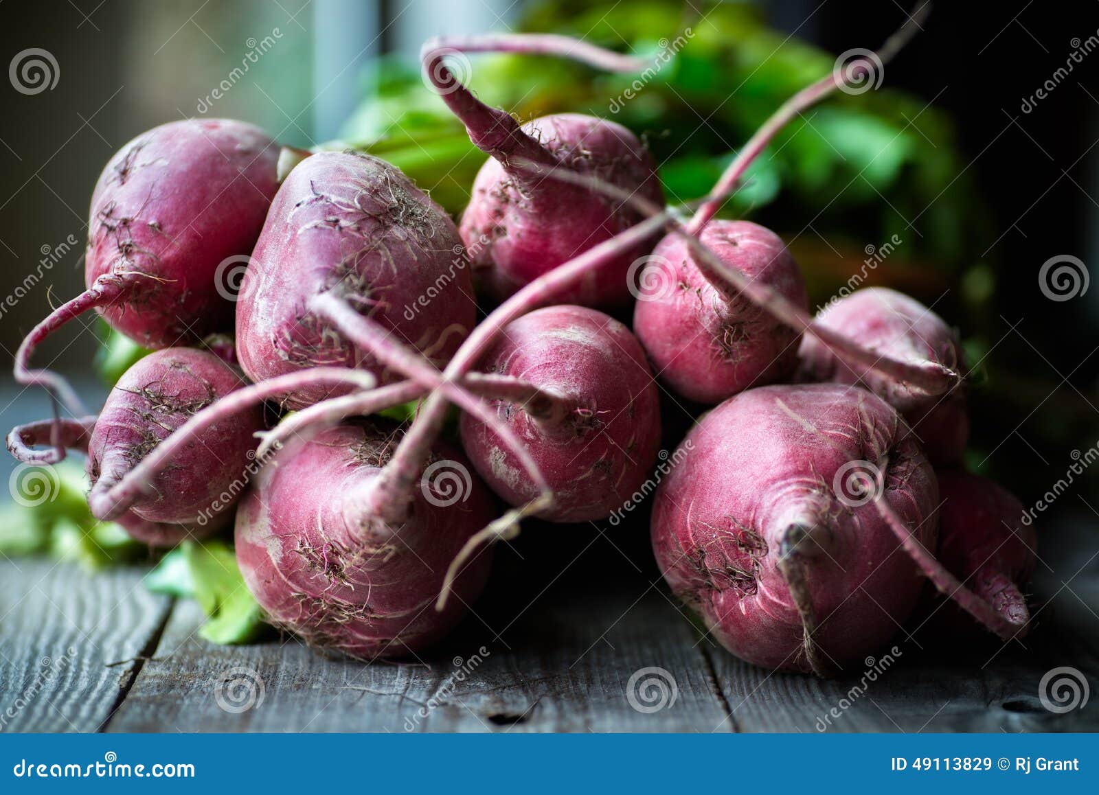 Fresh Beets stock image. Image of beets, harvest, vegetable - 49113829
