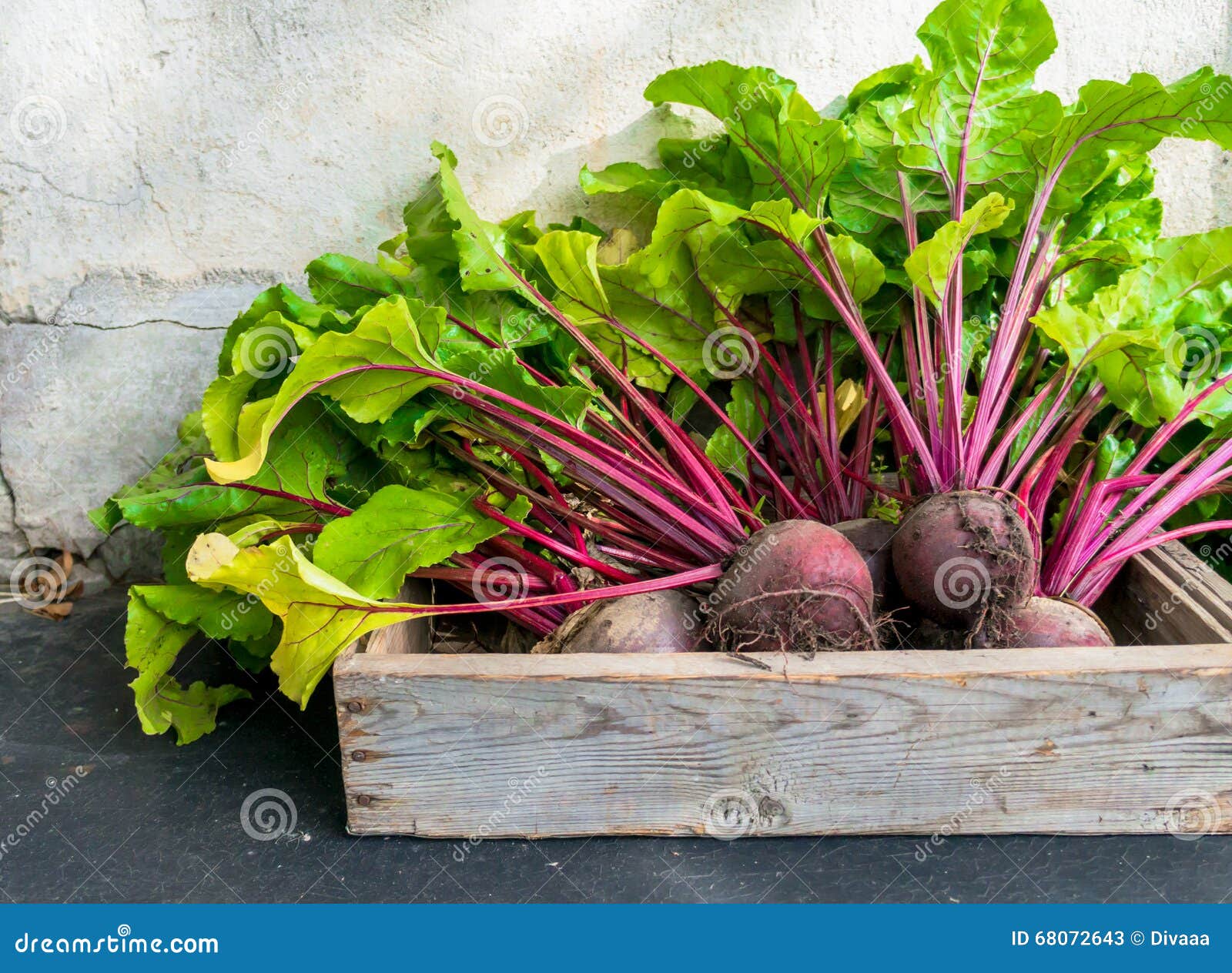 Fresh Beets from the Garden Stock Image - Image of bunch, vegetable ...