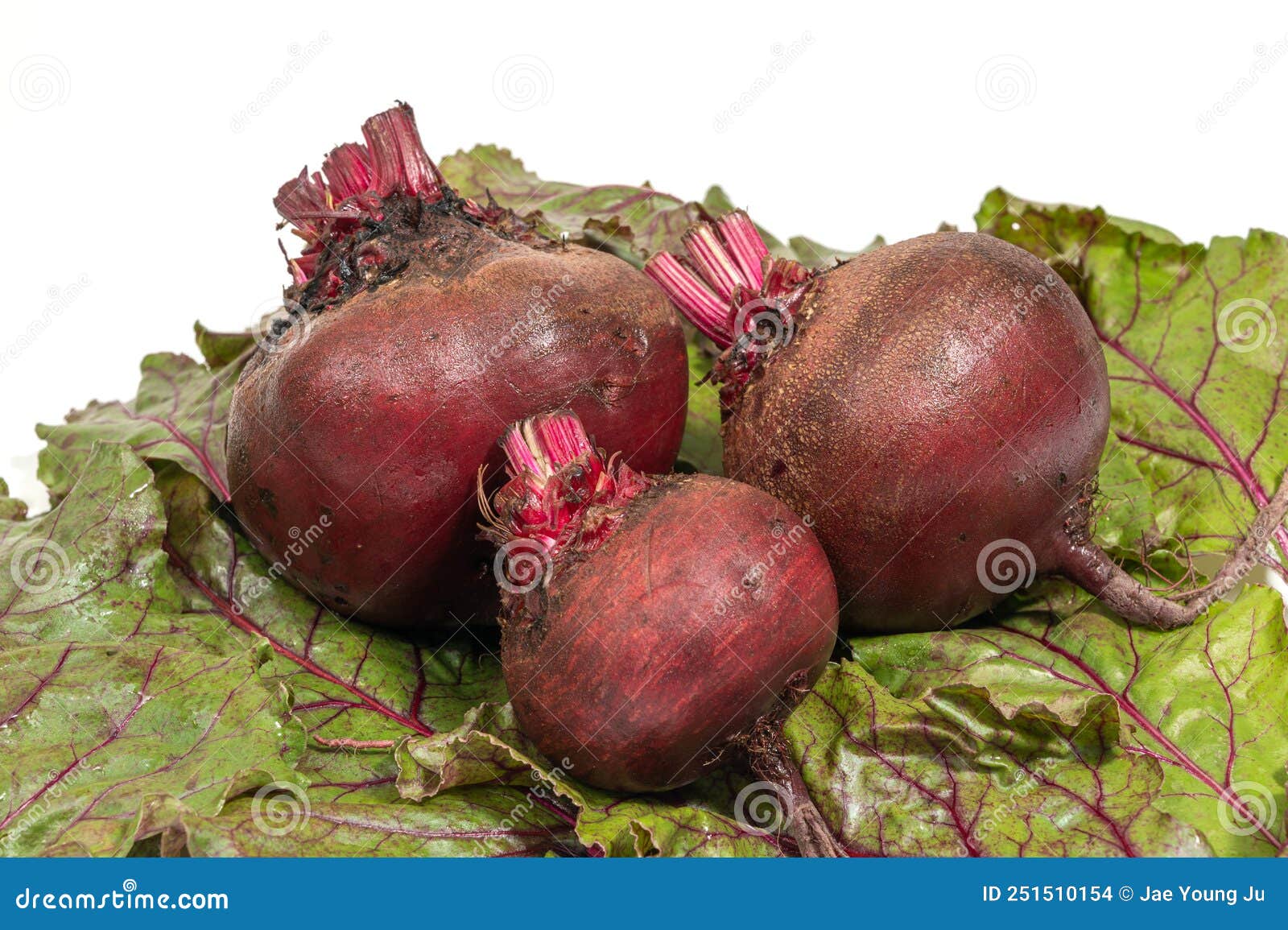 Fresh Beets. Beets Leaves and Fresh Beetroot Stock Photo - Image of ...
