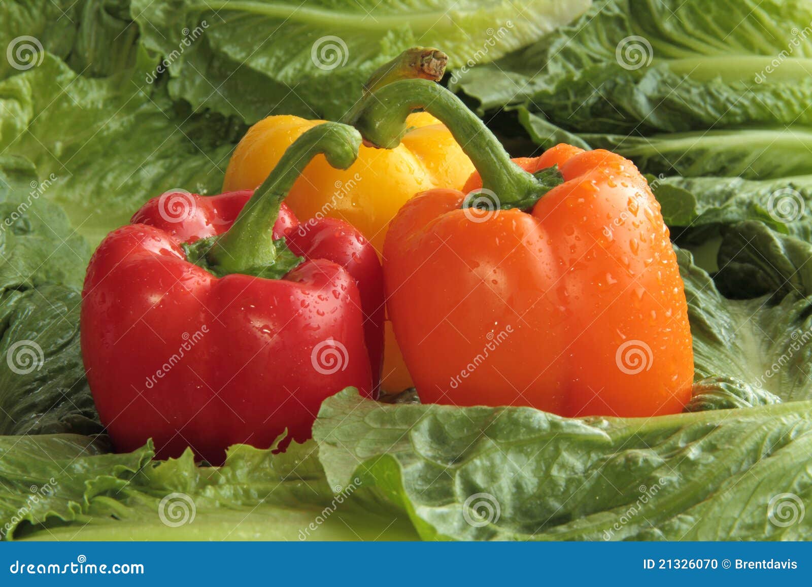 Fresh Bell Peppers stock photo. Image of leafs, healthy - 21326070