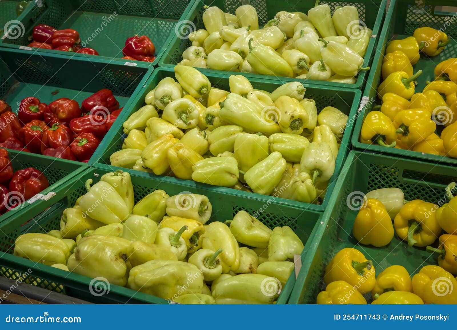 Fresh Bell Peppers on the Counter Vegetables in the Supermarket Stock ...