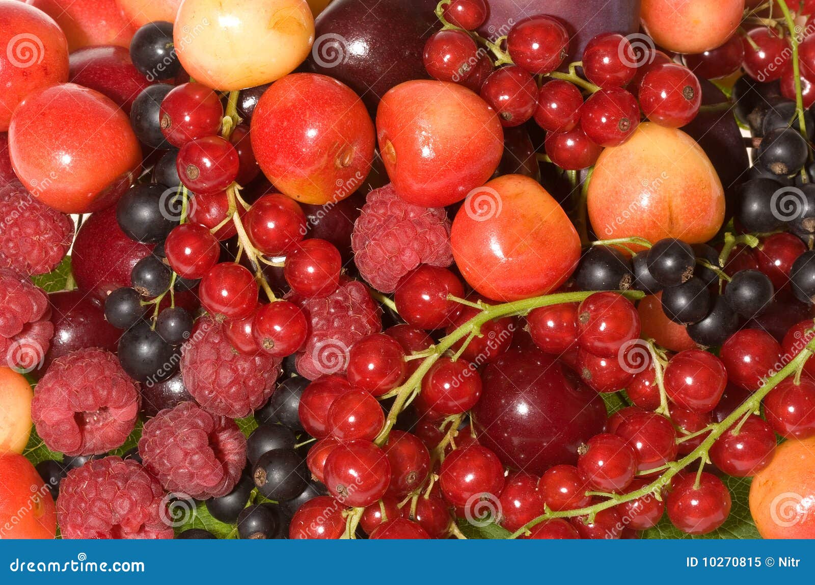 Fresh berries stock image. Image of isolated, fruit, mixed - 10270815