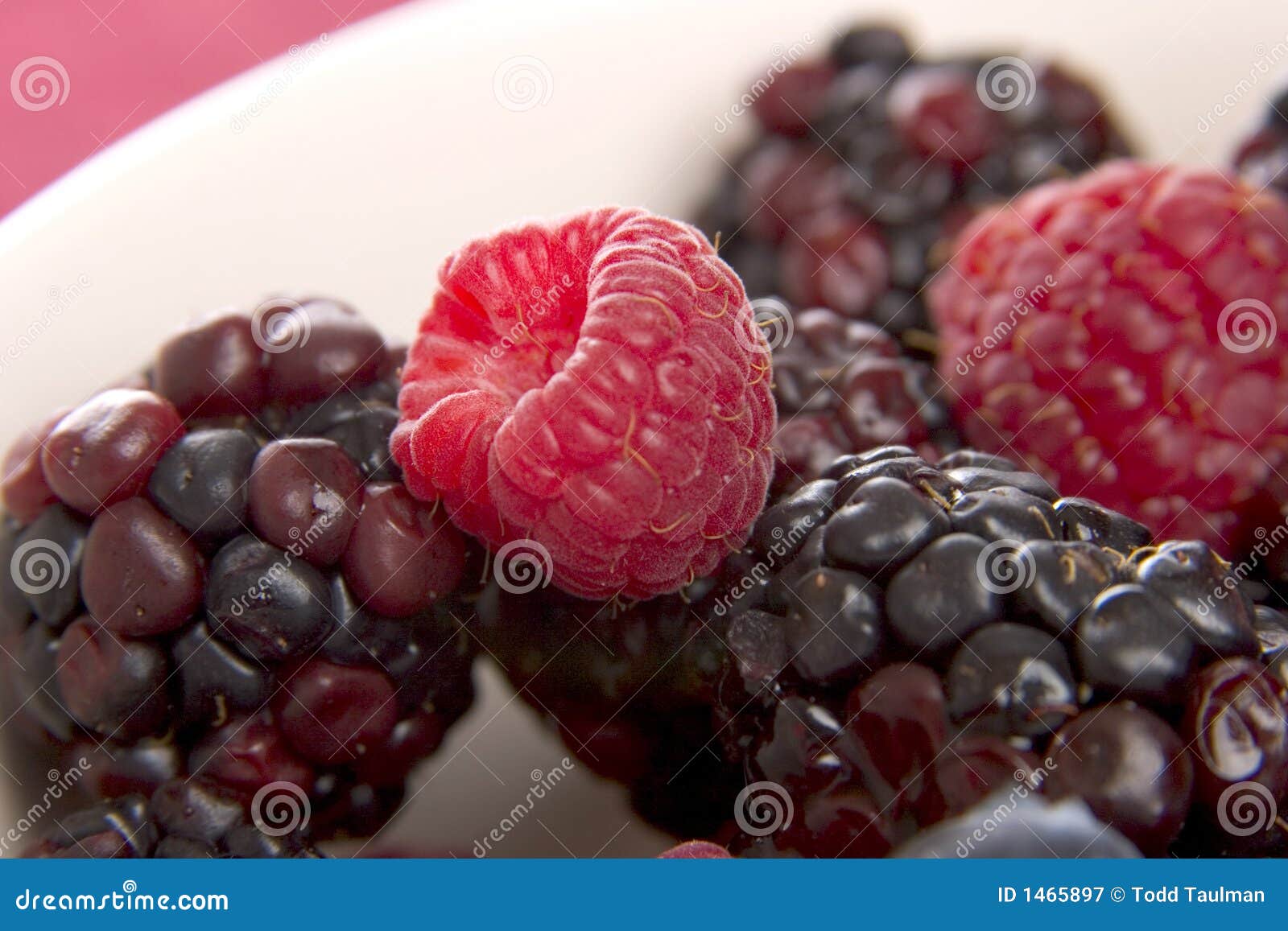 Fresh Berries stock image. Image of fresh, macro, produce - 1465897