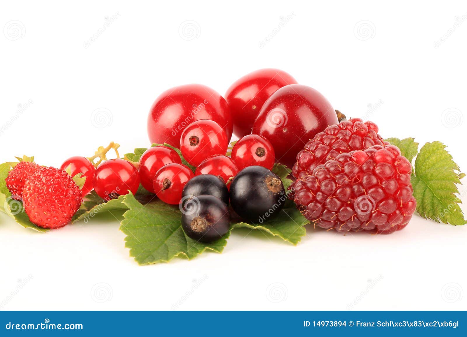 Fresh berries stock photo. Image of berries, raspberry - 14973894