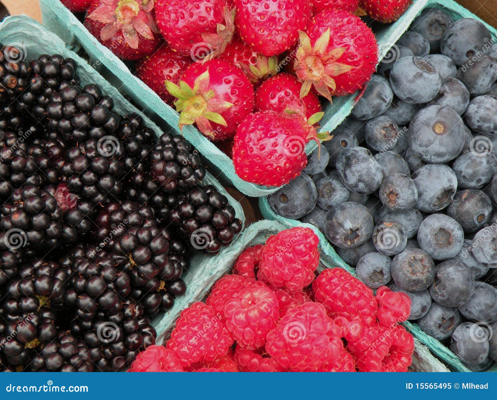 Fresh Berries stock image. Image of blueberries, food - 15565495