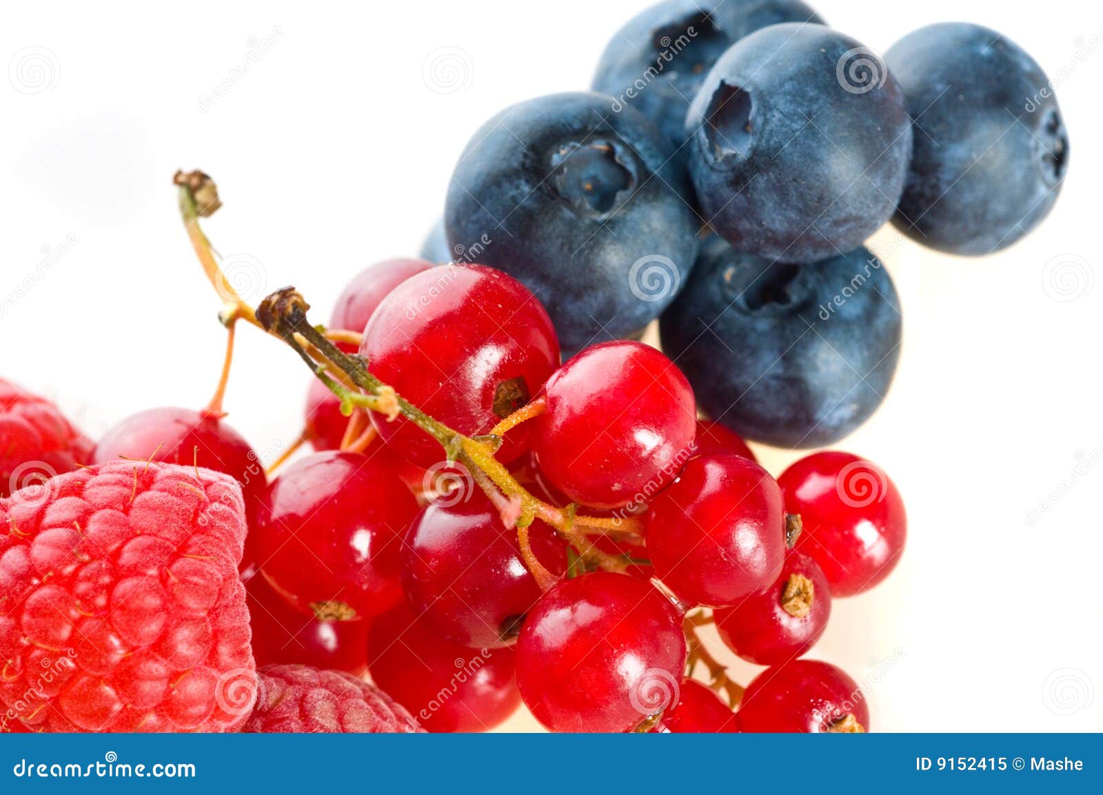 Fresh berries stock image. Image of tasty, healthy, sweet - 9152415