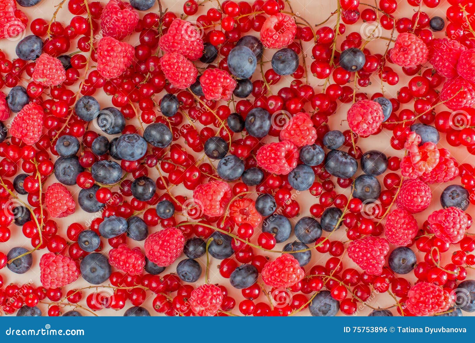 Fresh Berries Background stock photo. Image of border - 75753896