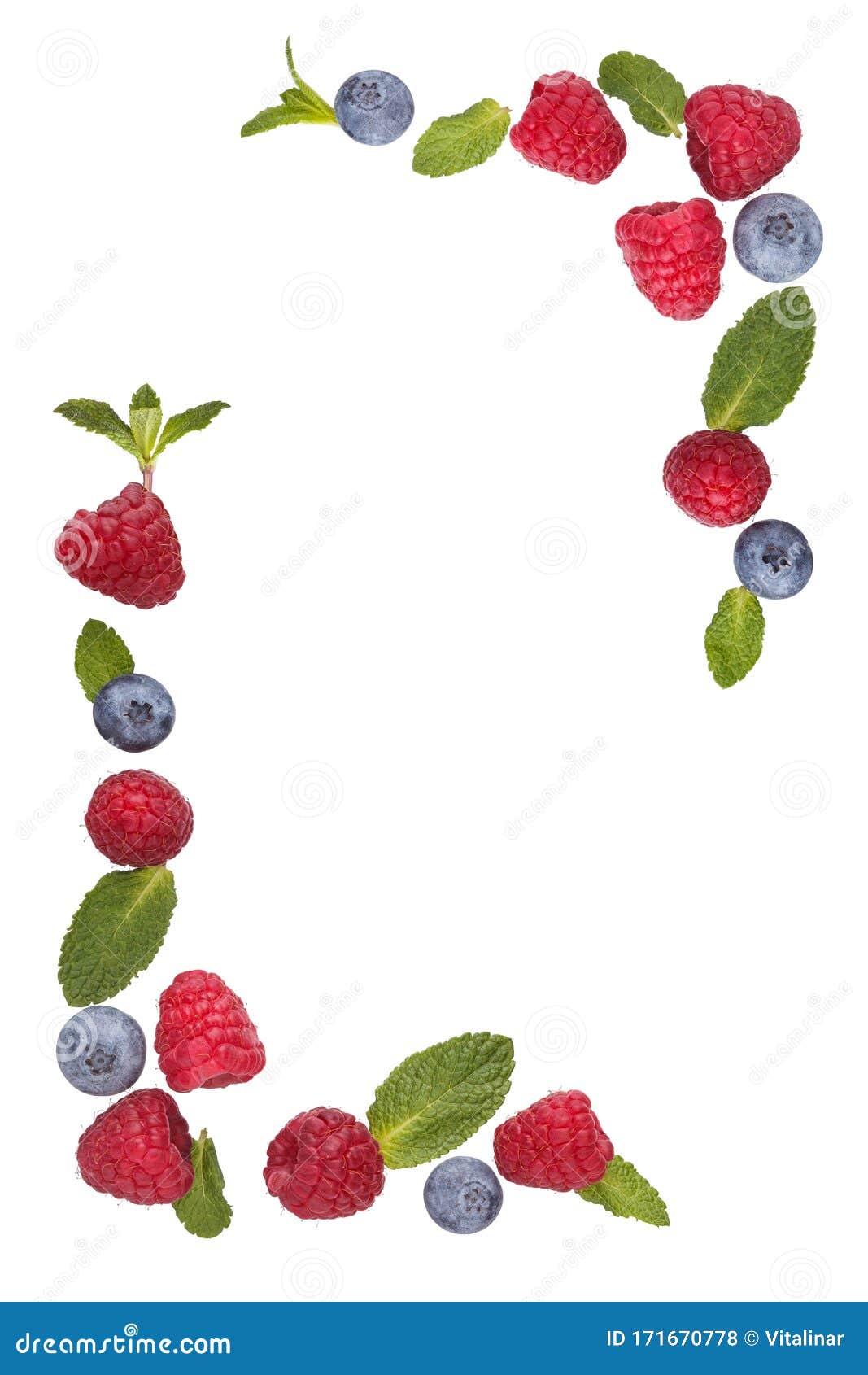 Fresh berries border stock photo. Image of mint, fresh - 171670778