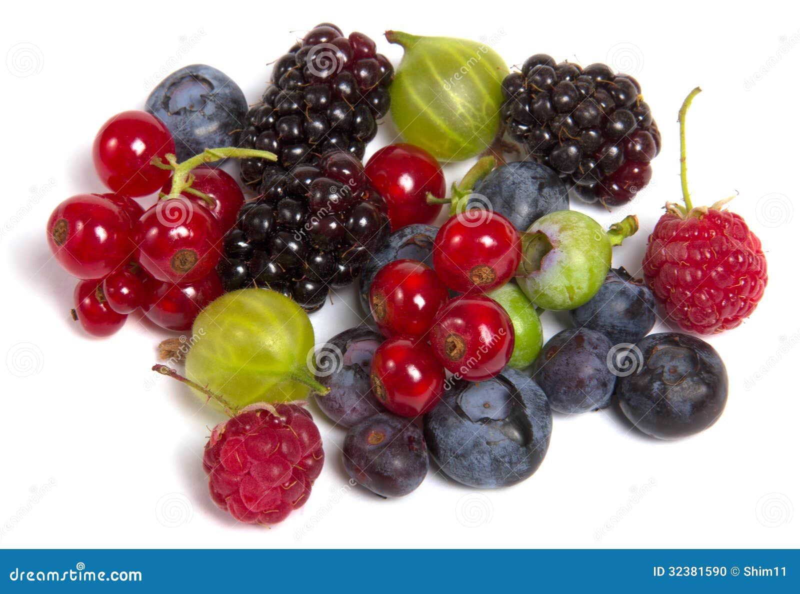 Fresh berries isolated stock photo. Image of fruits, bilberry - 32381590