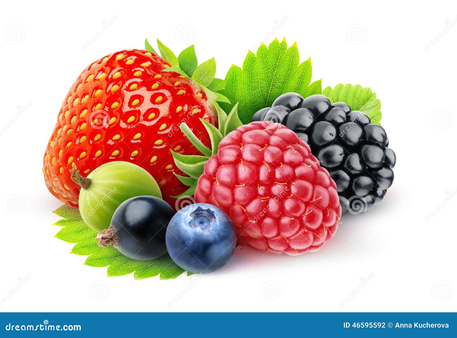 Fresh berries stock photo. Image of clipping, ingredient - 46595592