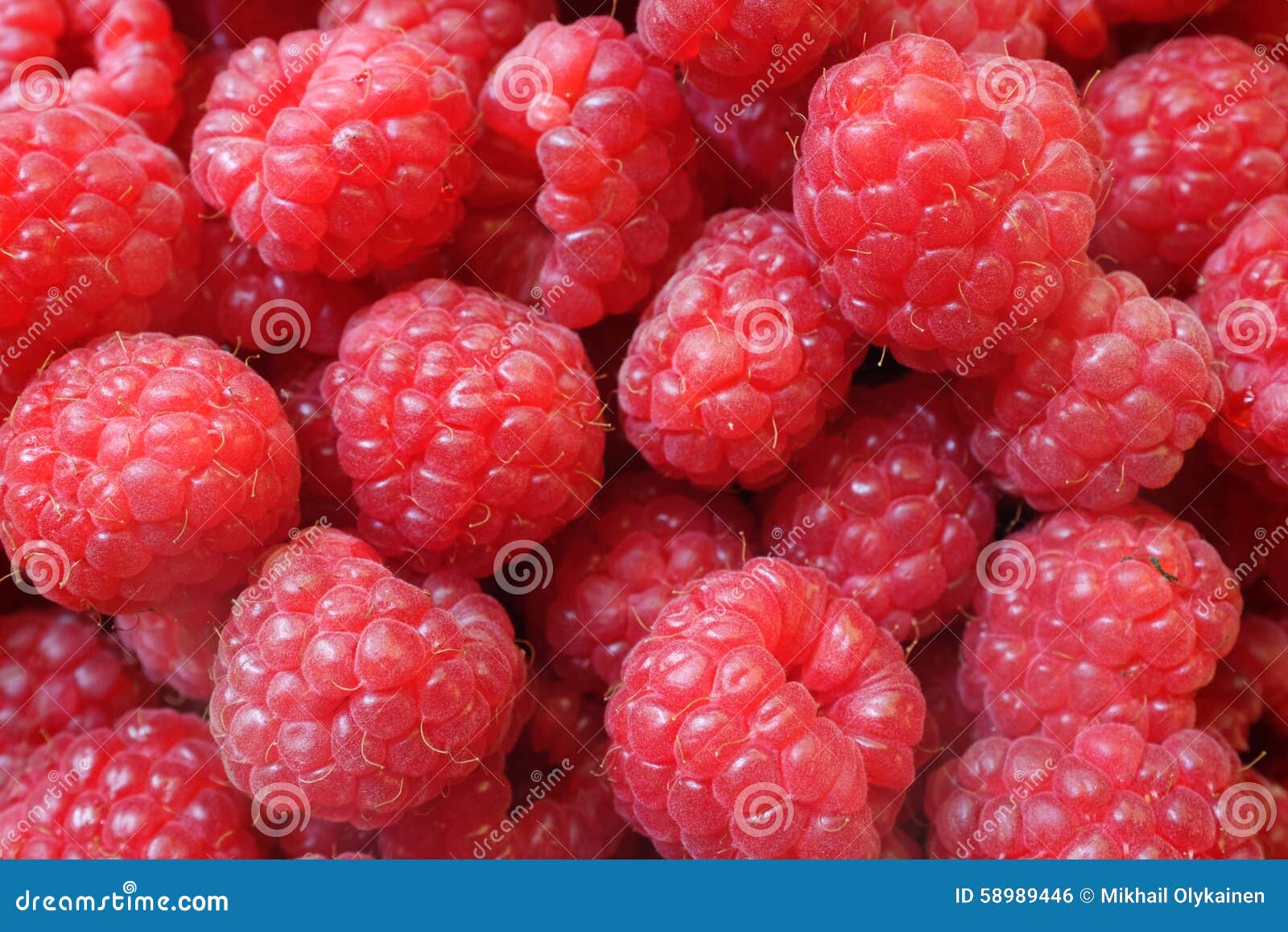 Rubus Idaeus Shrub In Bloom Royalty-Free Stock Image | CartoonDealer ...