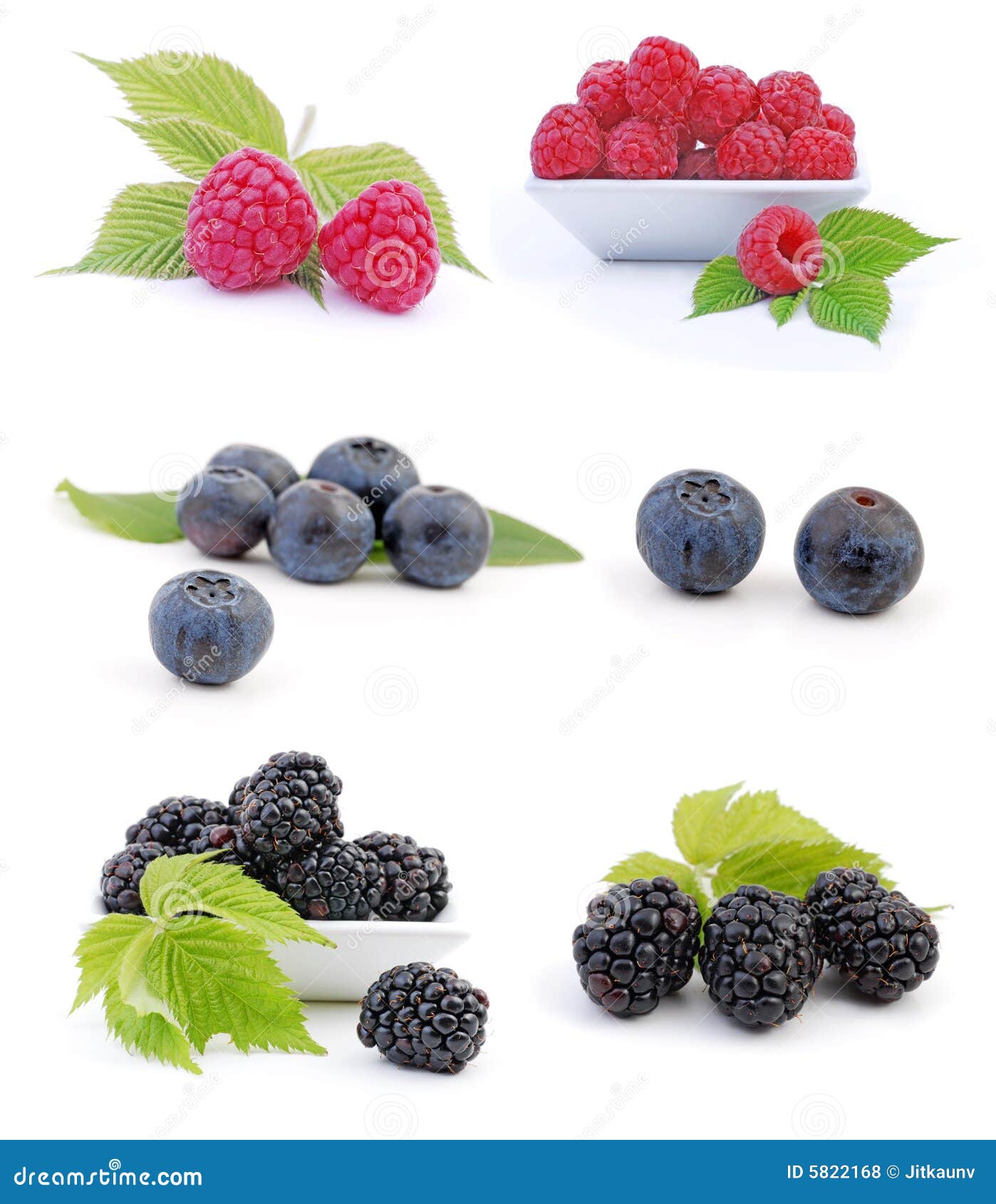 Fresh berry stock photo. Image of dinner, green, nature - 5822168