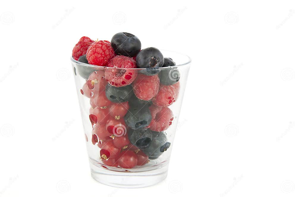 Fresh Berry Cup stock photo. Image of currants, isolated - 20320578