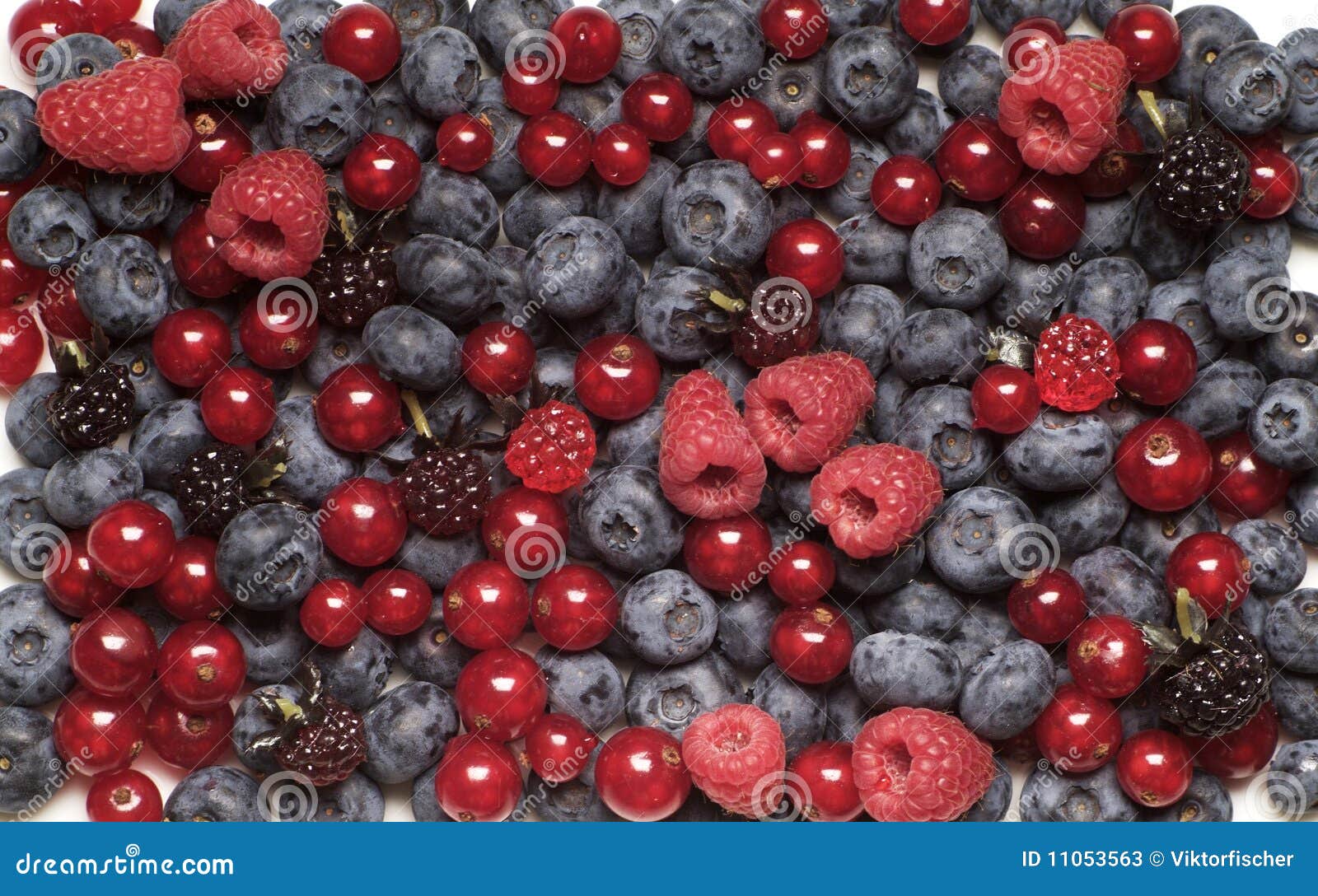 Fresh berry fruit stock image. Image of berries, blueberries - 11053563