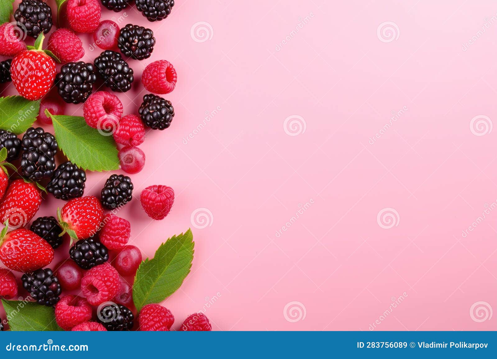 Fresh Berry and Fruit Mix Border Frame Banner Stock Illustration ...