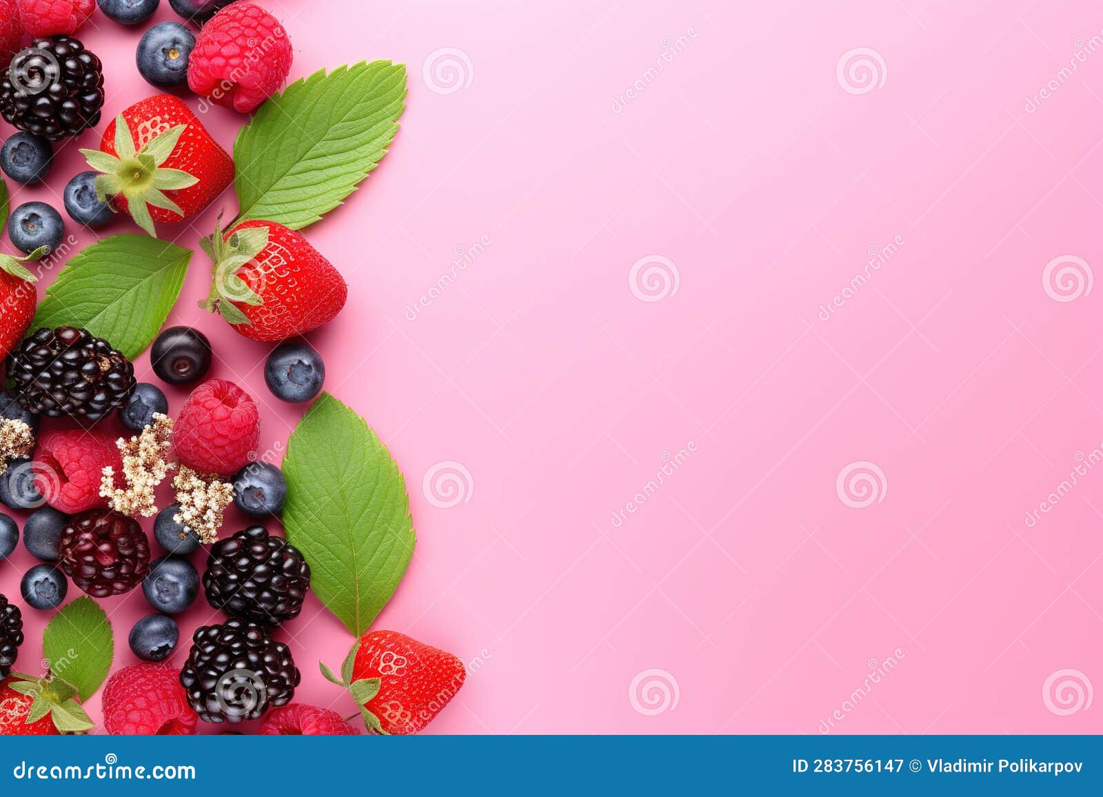 Fresh Berry and Fruit Mix Border Frame Banner Stock Illustration ...