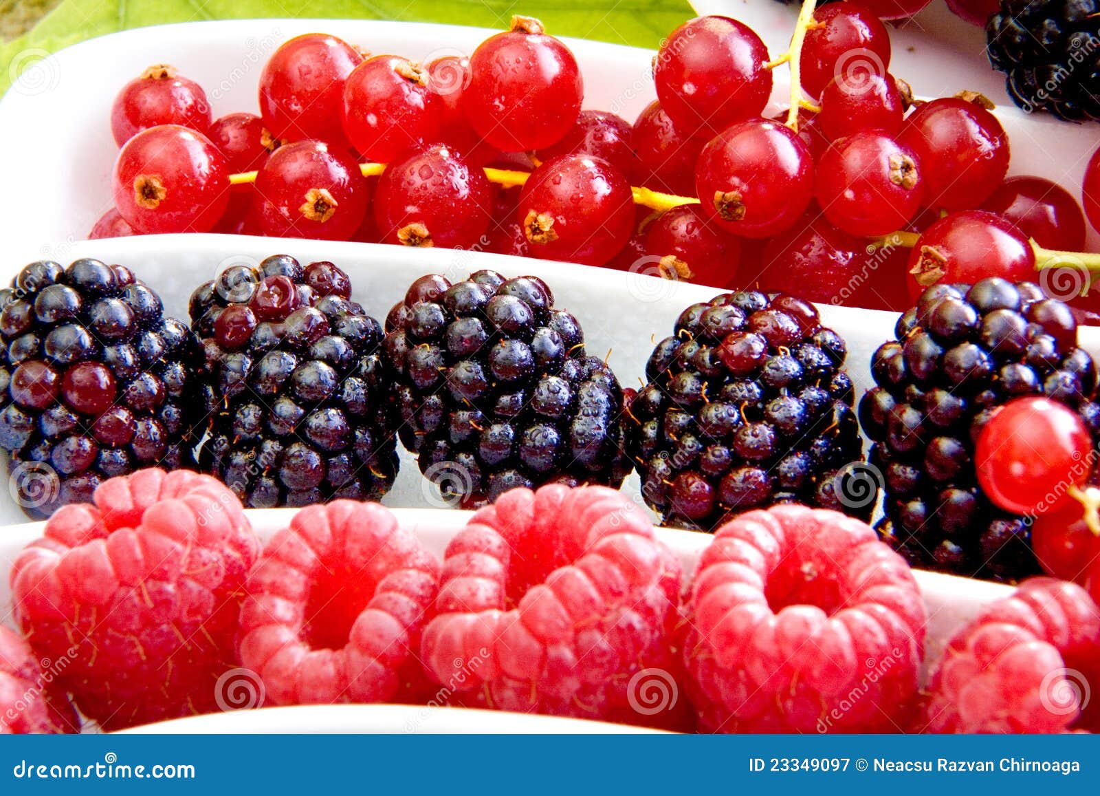 Fresh berry fruits stock image. Image of ingredients - 23349097