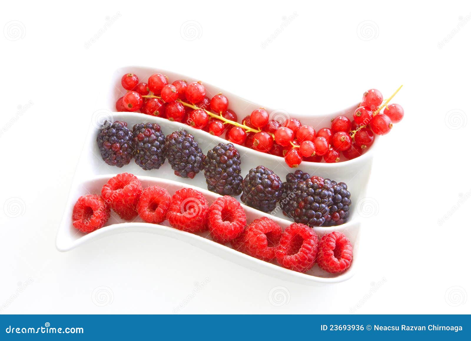 Fresh berry fruits stock photo. Image of color, delicacy - 23693936