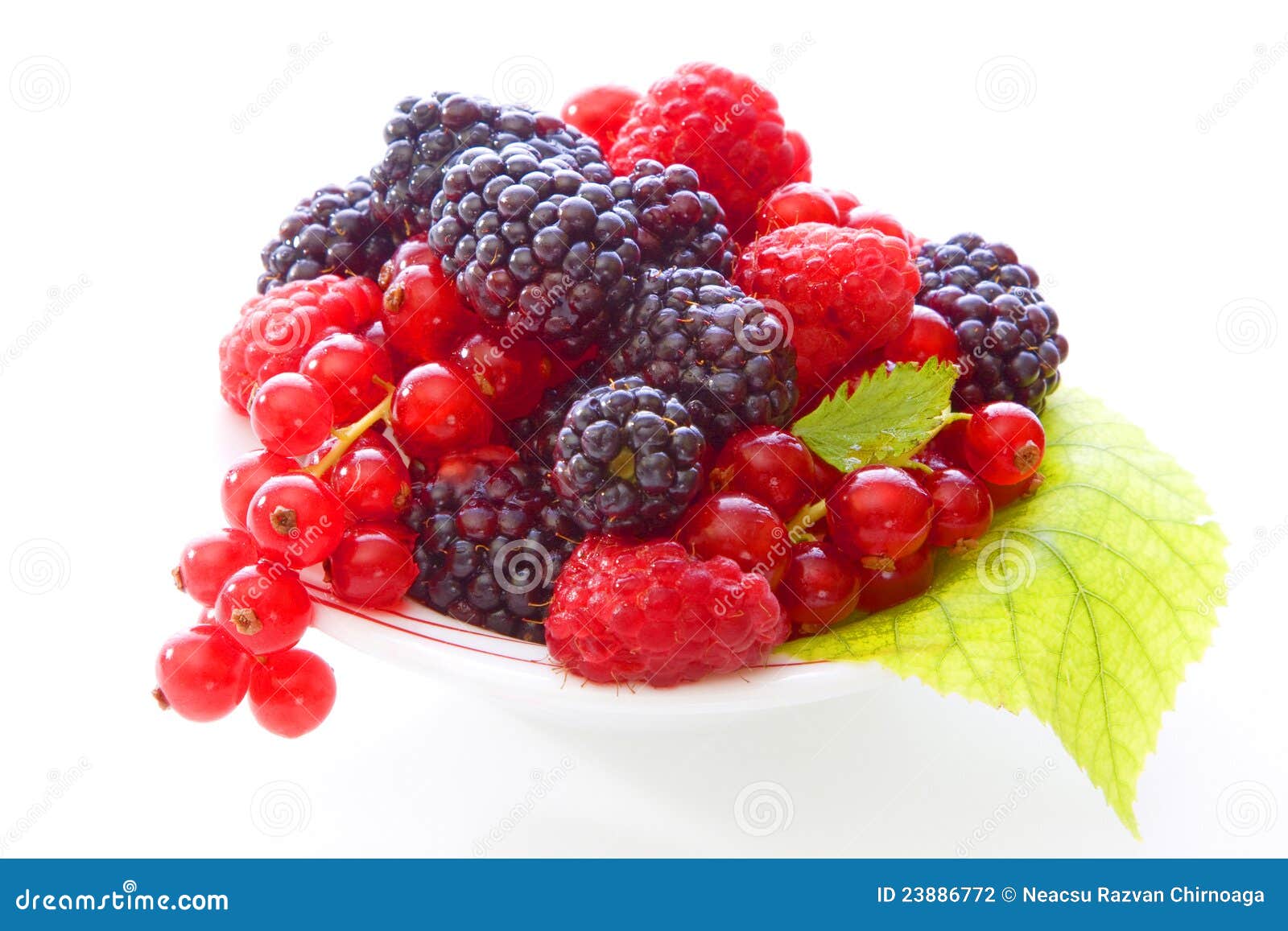 Fresh berry fruits stock photo. Image of exotic, berry - 23886772
